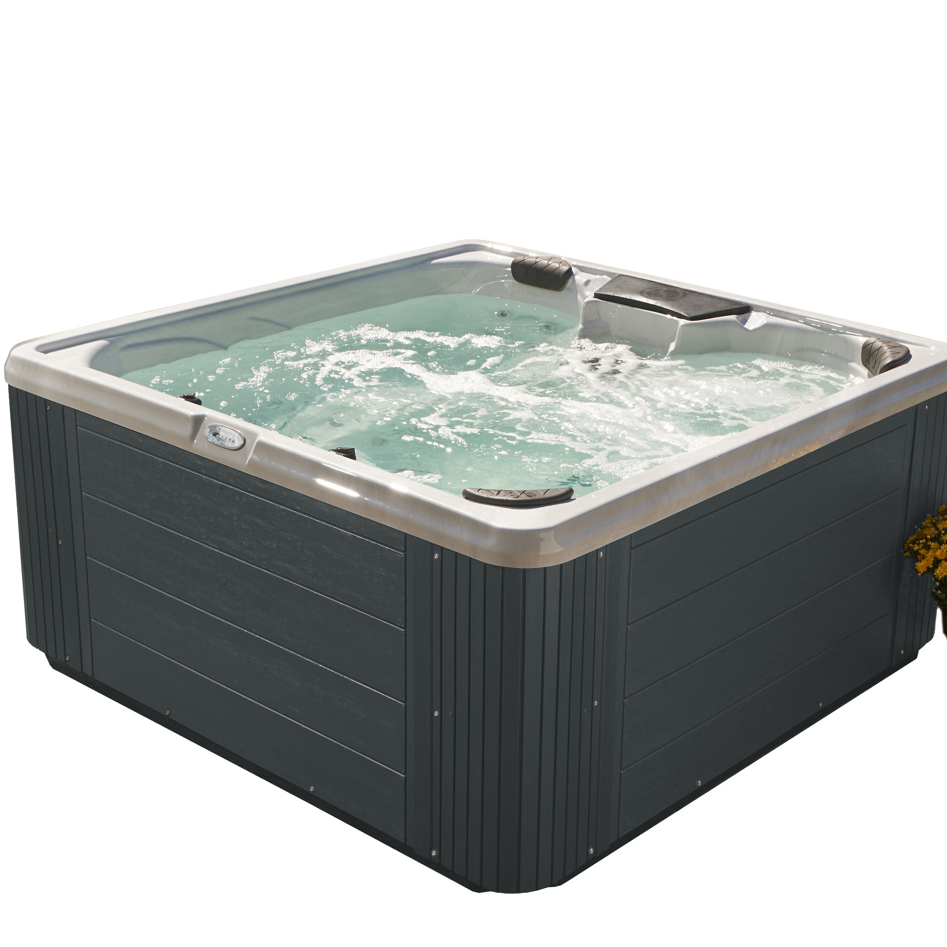 Aqualife® by Strong Spas® Revitalize LS 6-Person 50 Port 28-Jet Acrylic ...