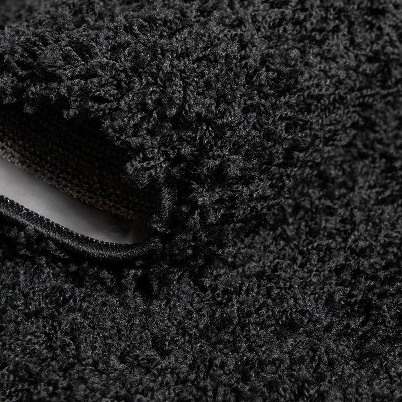 Ebern Designs Santoshi Performance Jet Black Rug & Reviews | Wayfair