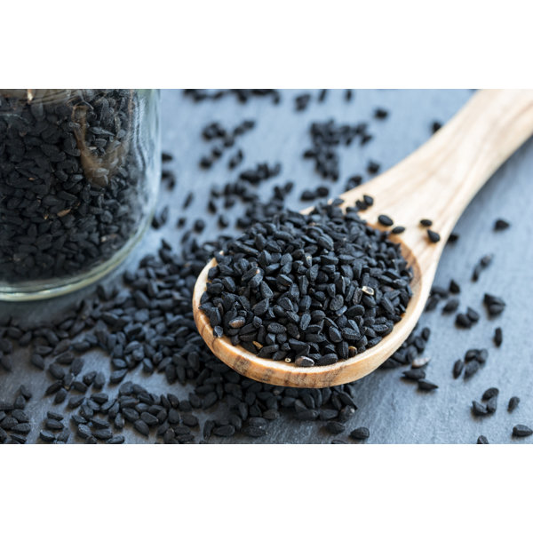 Ebern Designs Cumin Seeds by Madeleine_Steinbach - Wrapped Canvas Print ...