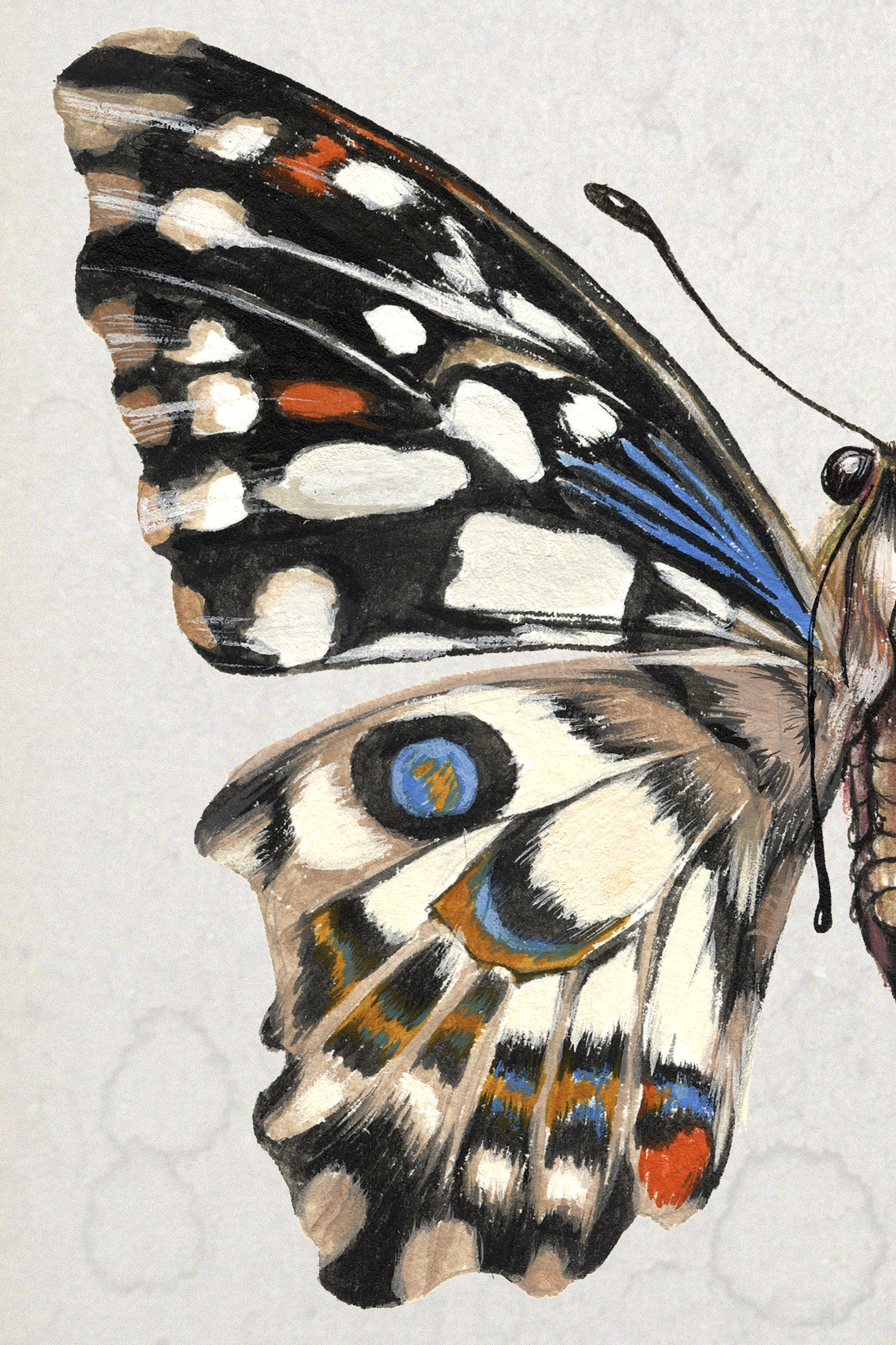 17 Stories Stained Glass Butterfly Wing Study I | Wayfair.co.uk