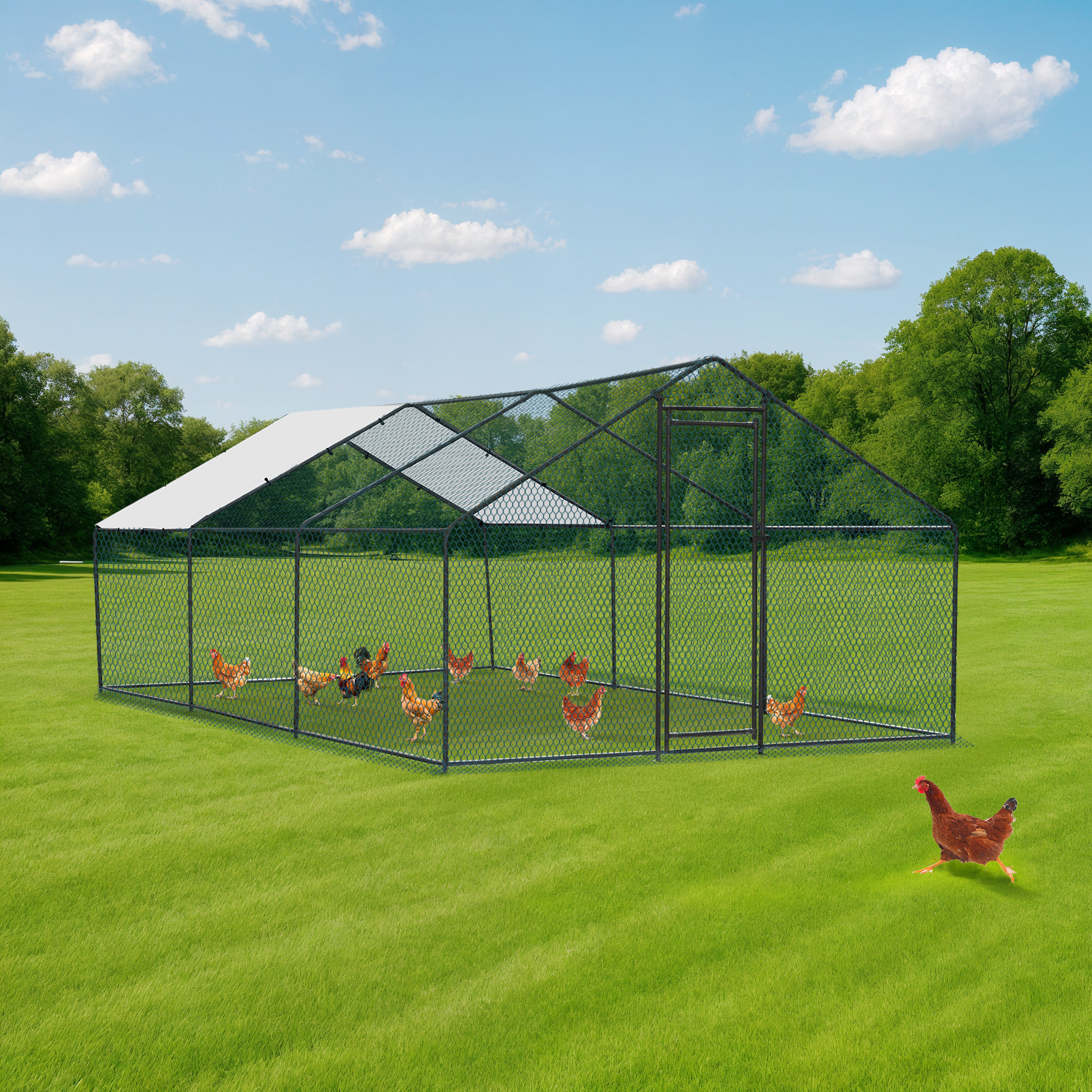 Tucker Murphy Pet™ Emmeric Walk In Chicken Run & Reviews | Wayfair