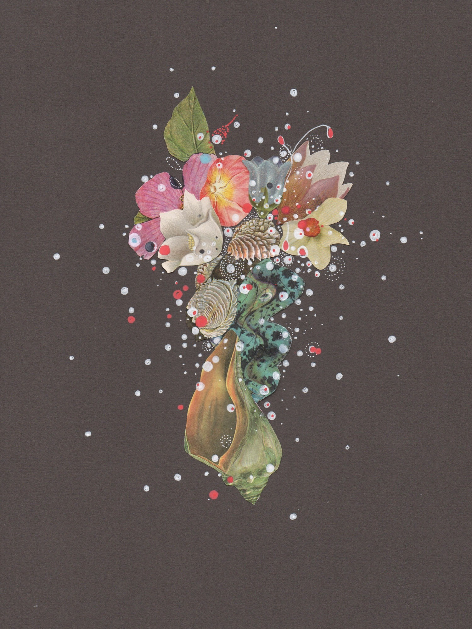 Made & Curated Flowering Barnacle Cluster by Jenny Brown - Graphic Art ...