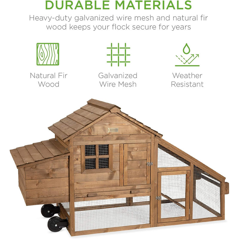 Tucker Murphy Pet™ Ellmarie Chicken Coop For Up To 3 Chickens | Wayfair