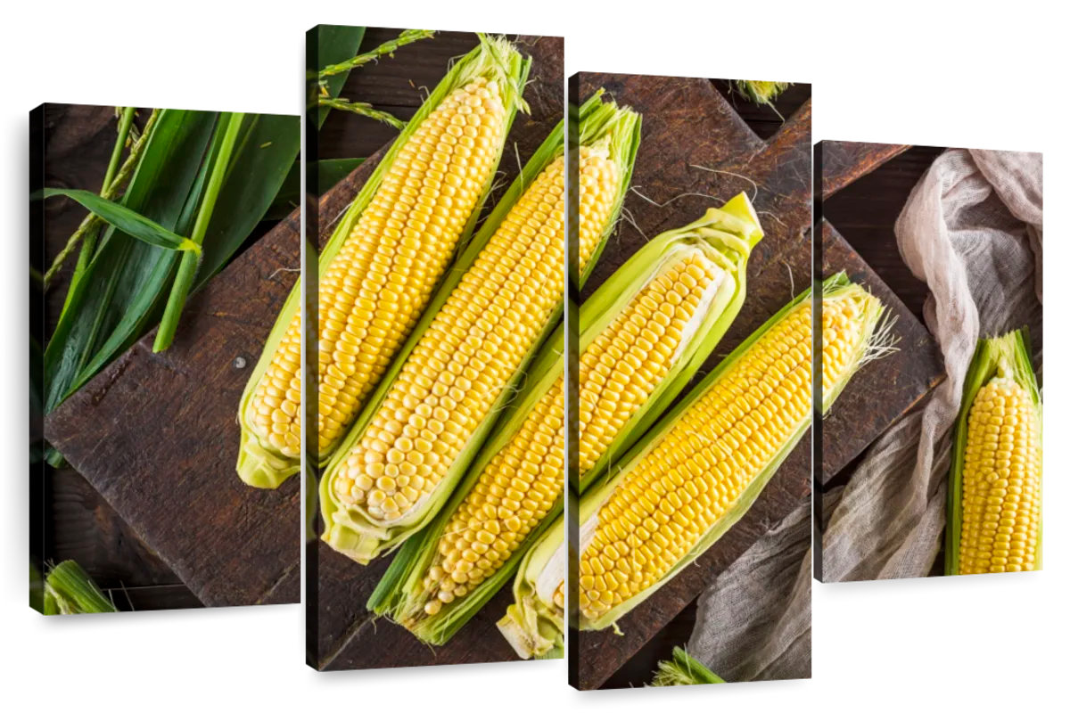 Elephant Stock Corn Cobs | Wayfair