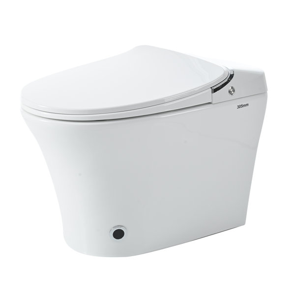 HIGEINE Smart Bidet Toilet With Heated Seat, Warm Water Fountain ...