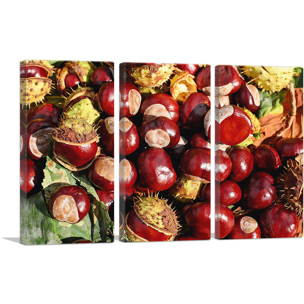 ARTCANVAS Chestnuts Home Decor - 3 Piece Wrapped Canvas Photograph ...