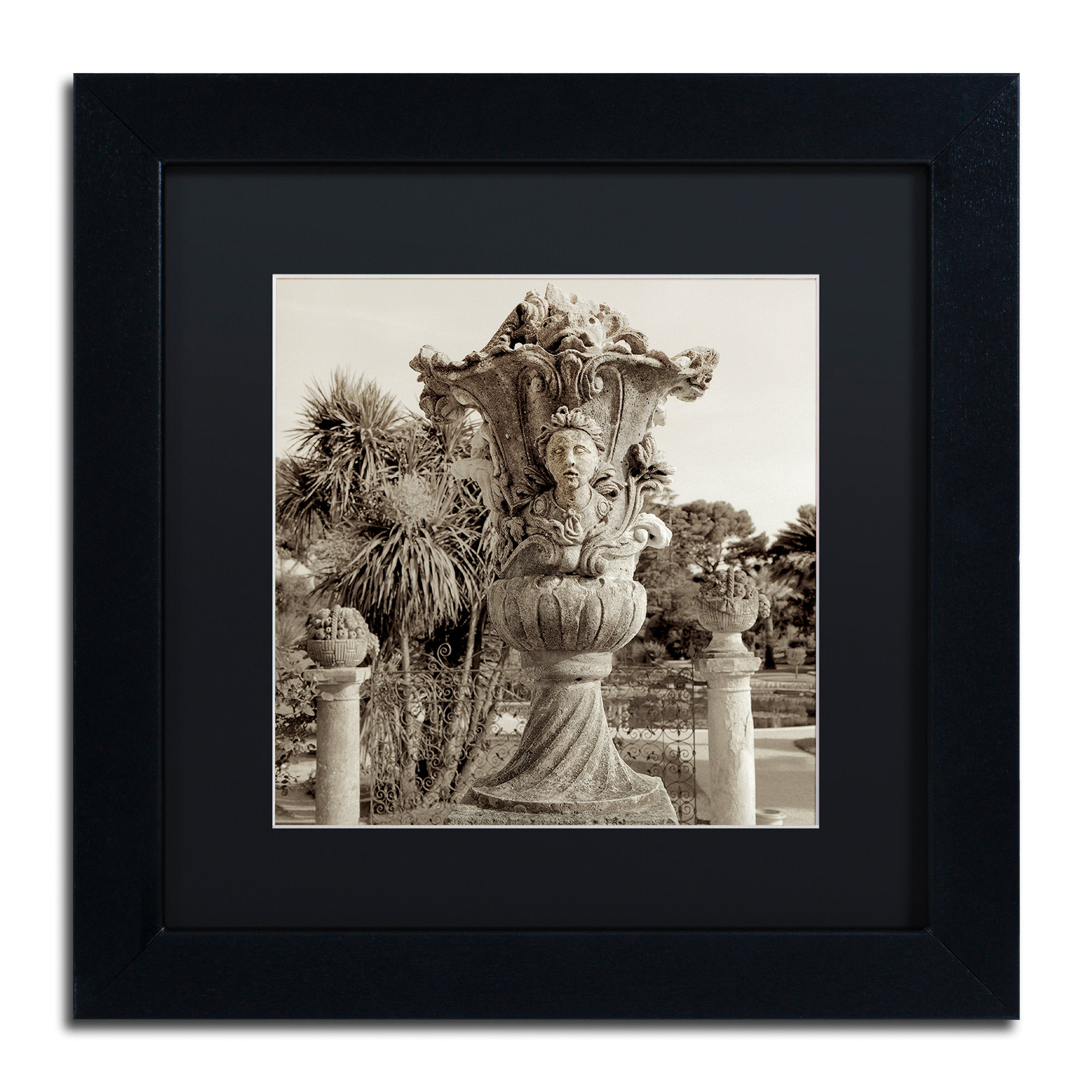 Charlton Home® Alan Blaustein 'Cote d' Framed Photographic Print | Wayfair