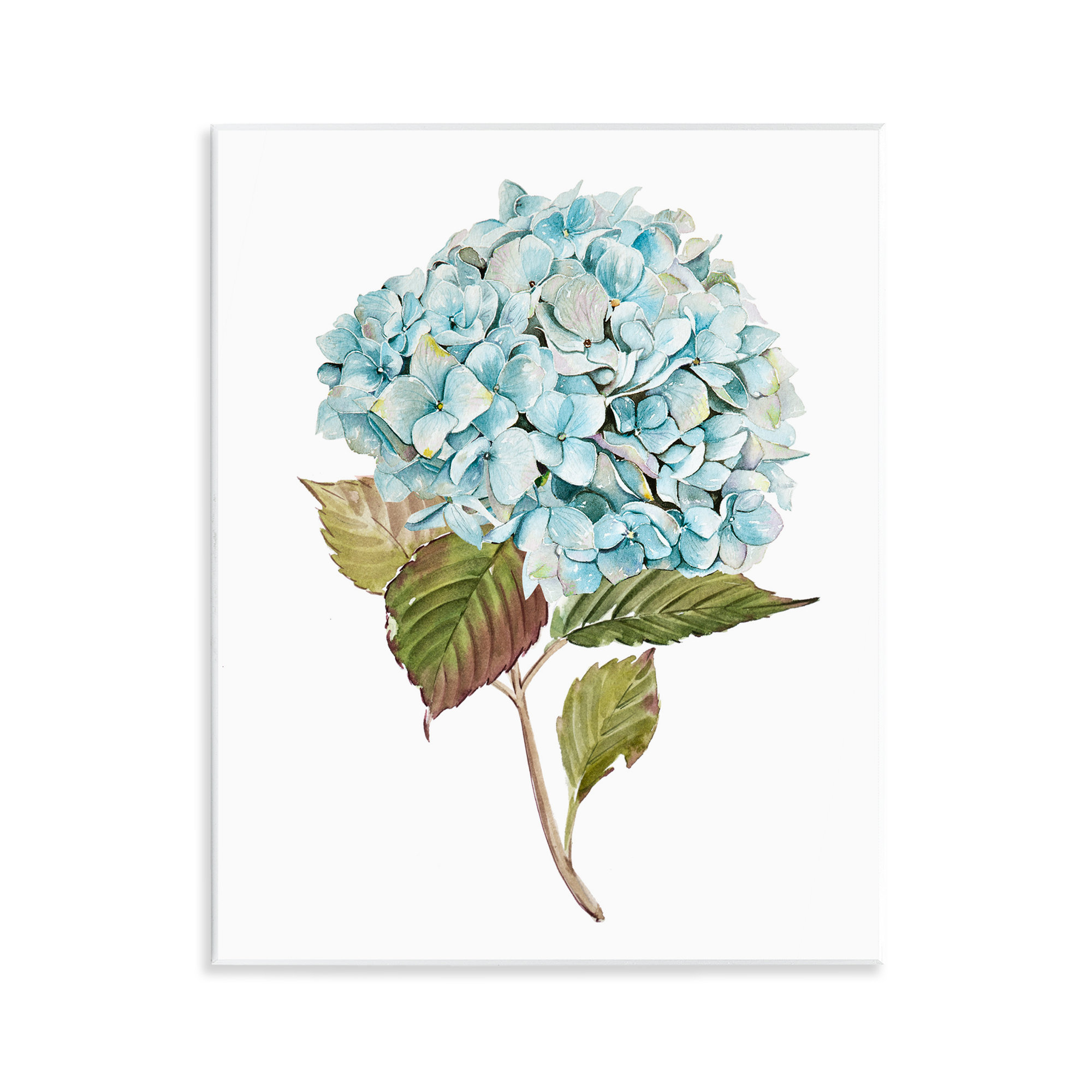 Stupell Industries Simple Hydrangea Bud Wall Plaque Art by Enya Todd ...
