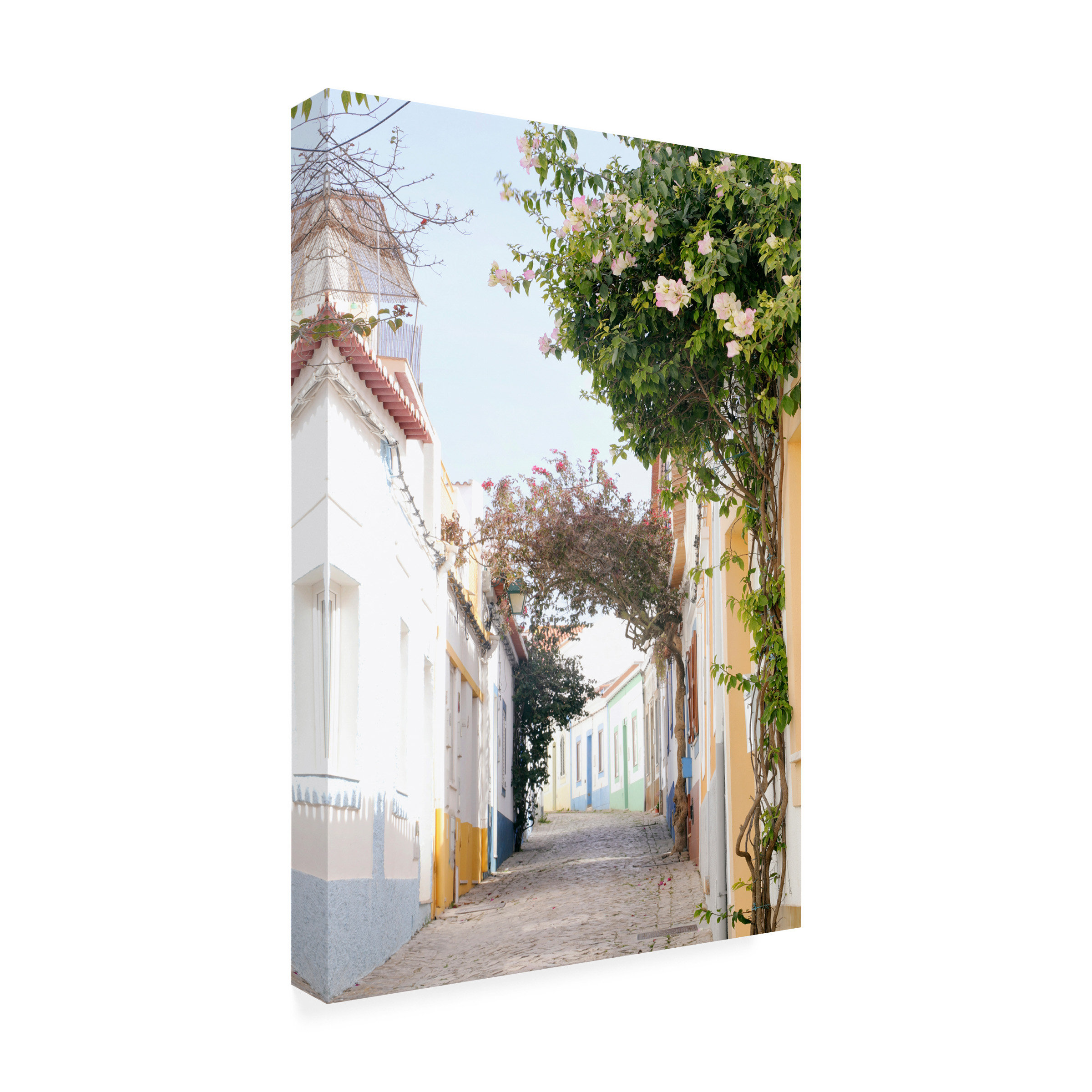 Winston Porter Carina Okula Portuguese Perfection Canvas Art - Wayfair ...