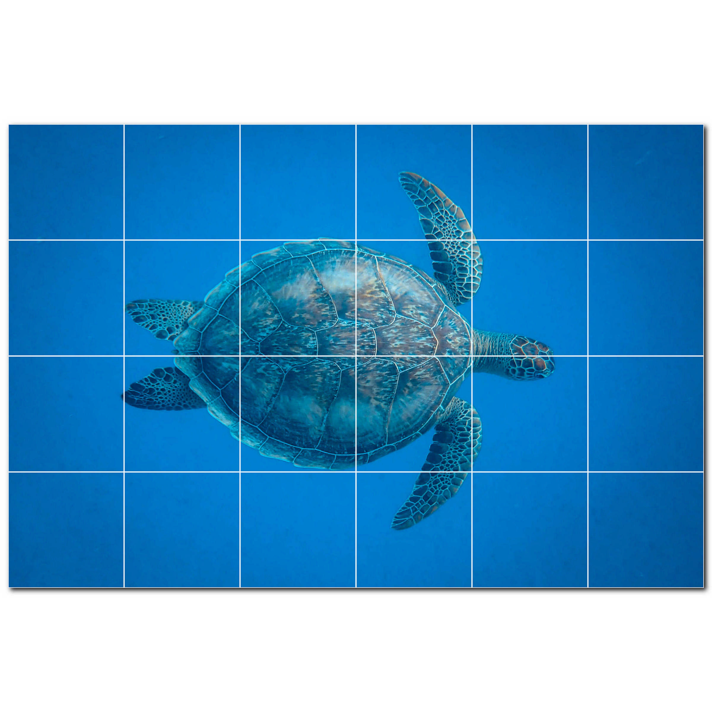 Picture-Tiles.com 72" x 48" Ceramic Turtle Photo Decorative Mural Tile ...