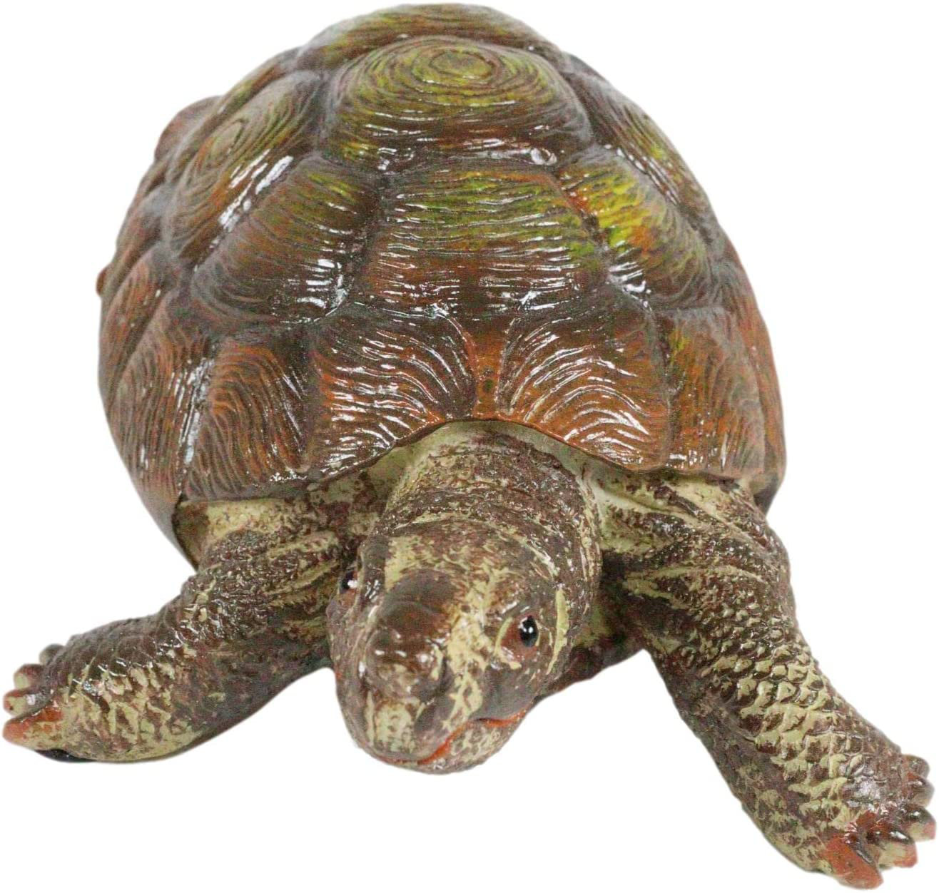 Bay Isle Home™ Lifelike Brown Tortoise Small Tortoise Figurine ...