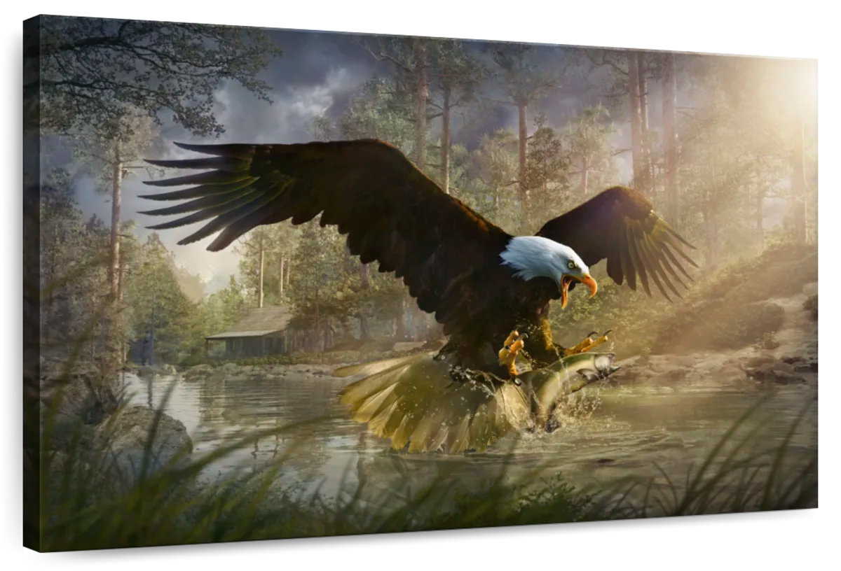 Ebern Designs Brampt Bald Eagle Catching Fish | Wayfair