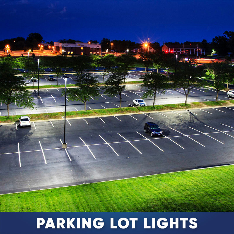 Wen Lighting LED Commercial Area Light, Waterproof Street Lighting for ...