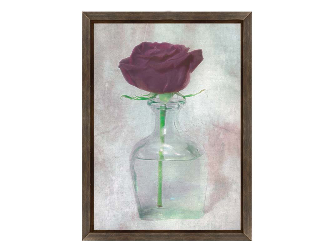 Red Barrel Studio® Black Rose in a Glass Vase by Hal Halli. Paper Print ...