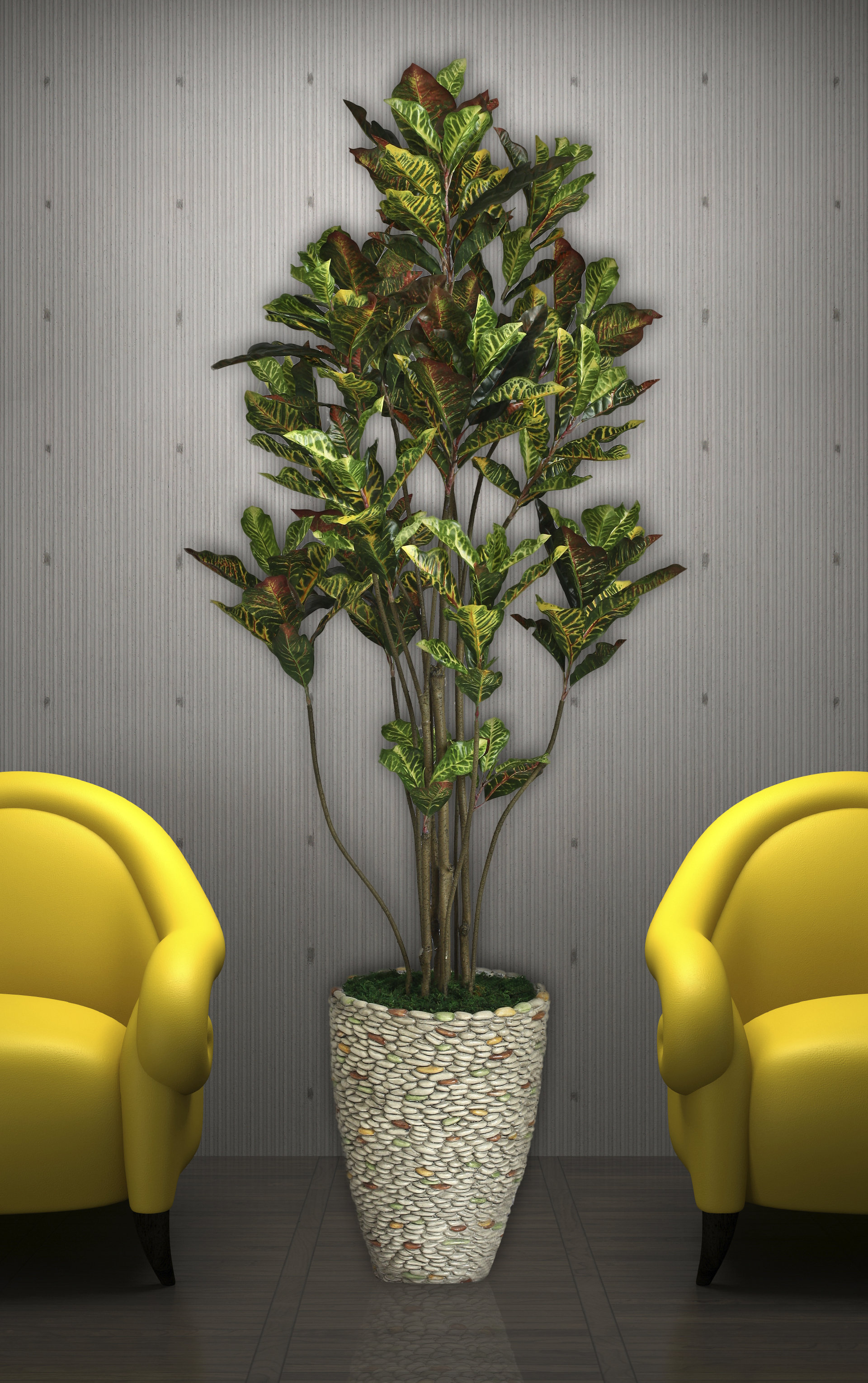 Laura Ashley Tall Croton Multiple Trunks Tree in Planter | Wayfair