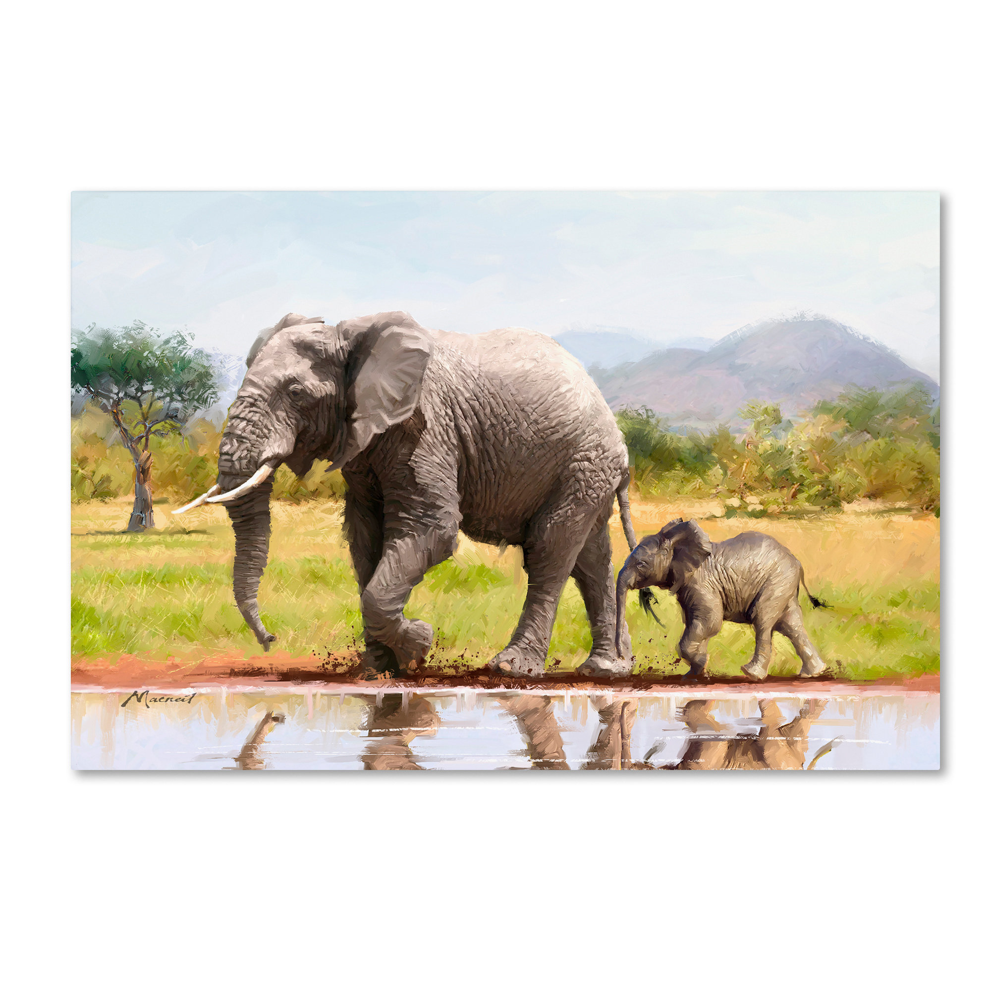 Trademark Art The Macneil Studio Elephant On Canvas by The Macneil ...
