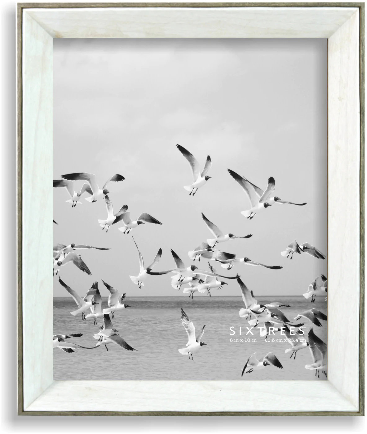 Sixtrees USA Ltd. Stark Deep Wood Picture Frame - Multiple Sizes And ...