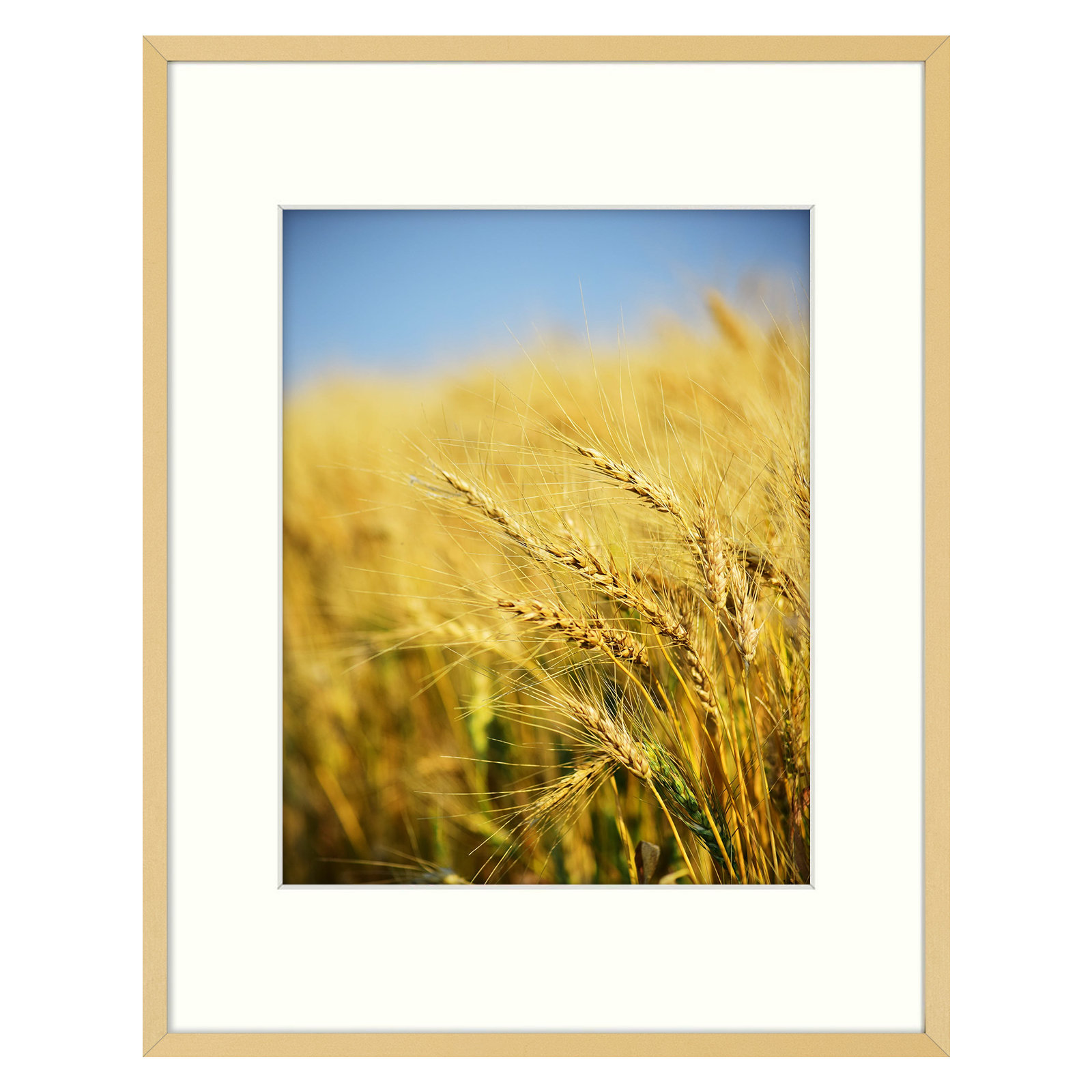 Latitude Run® Classic Gold Metal Picture Frame with Real Glass | Wayfair