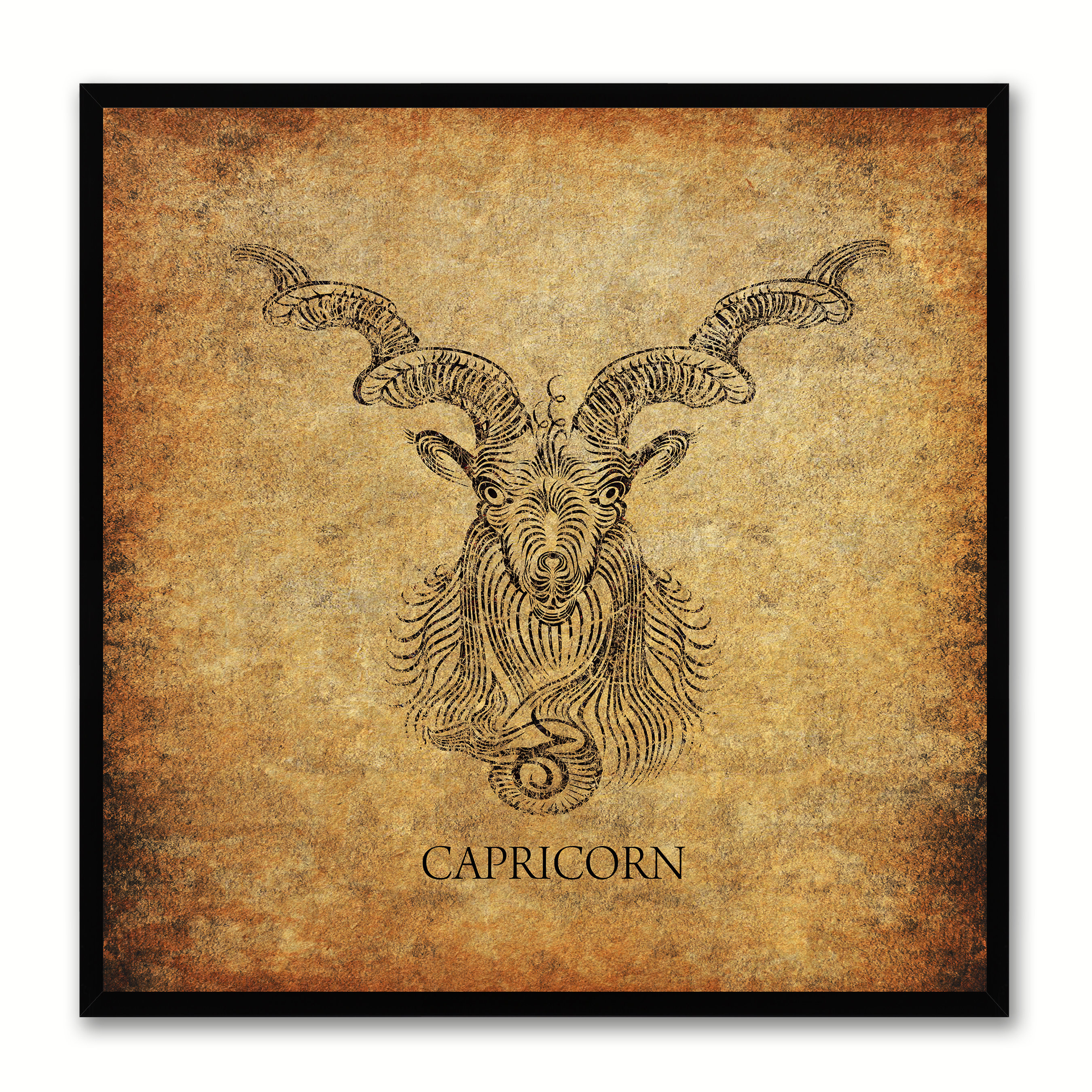 August Grove® Capricorn Horoscope Astrology Canvas Print, Custom ...