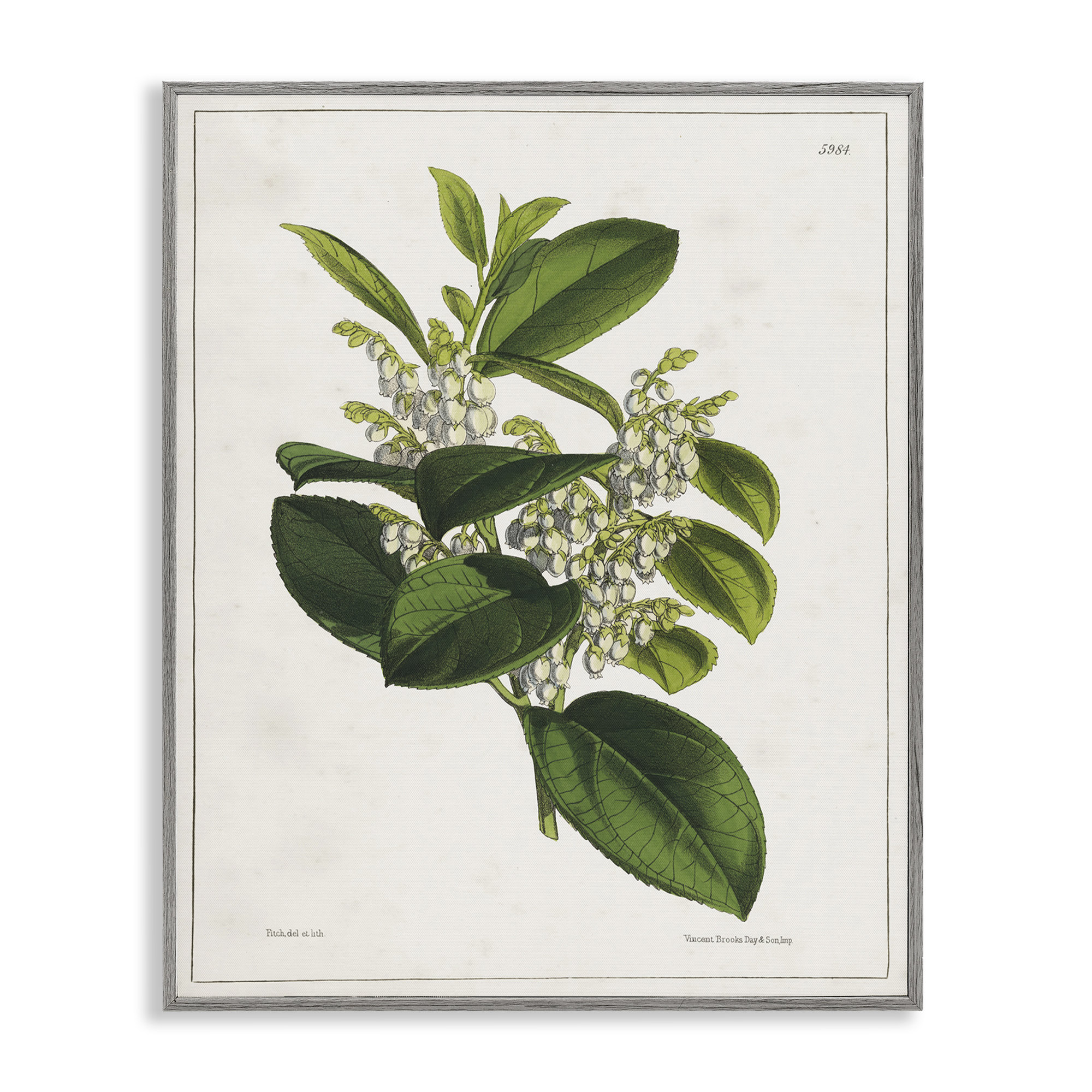 Ebern Designs Forest Nature Botanical Giclee Art by Tina Higgins ...