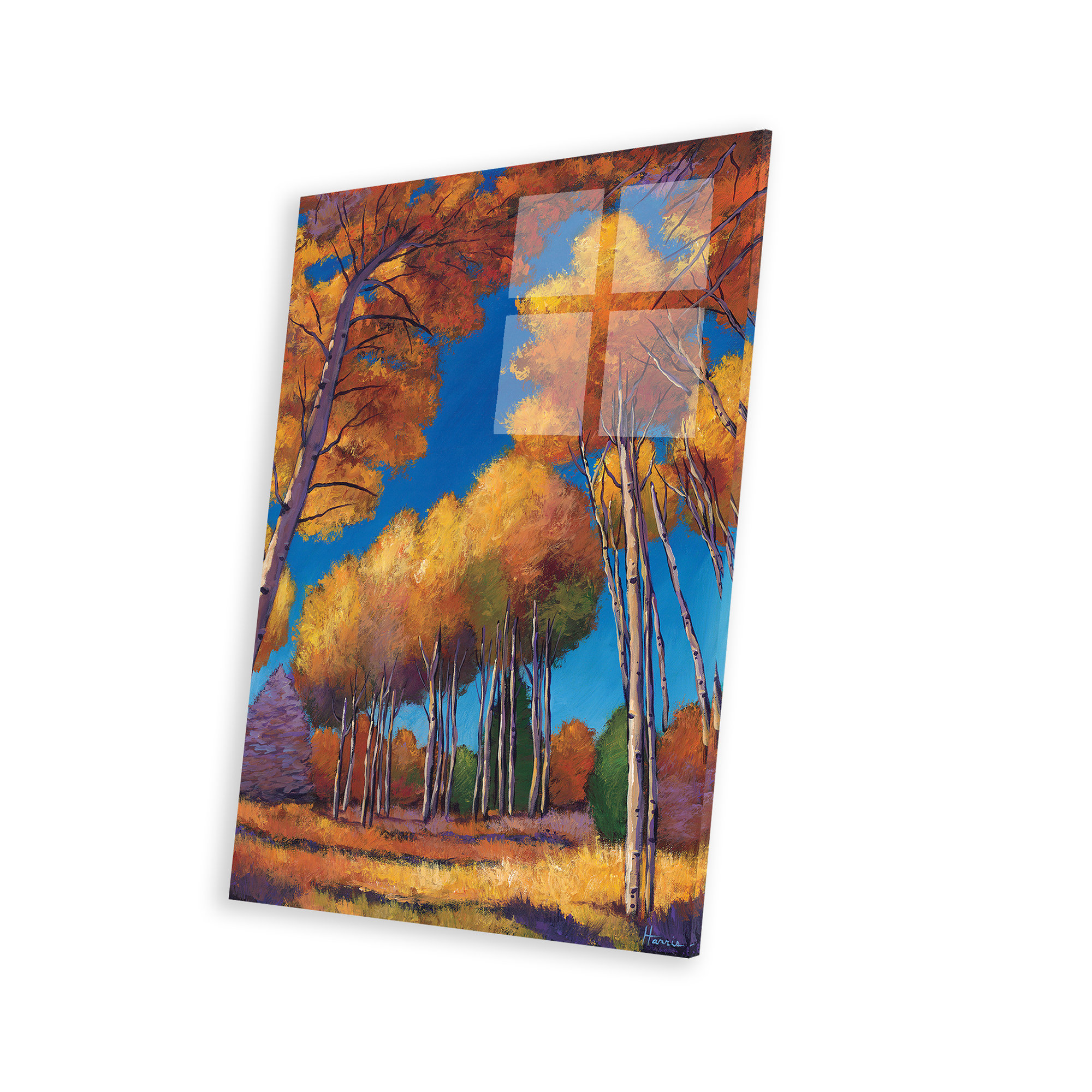 Winston Porter Up And Away On Plastic/Acrylic by Johnathan Harris | Wayfair