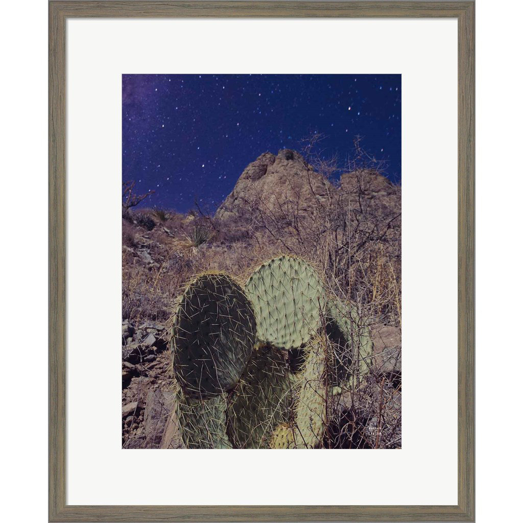 Foundry Select Prickly Stars By Nathan Larson, Framed Wall Art ...