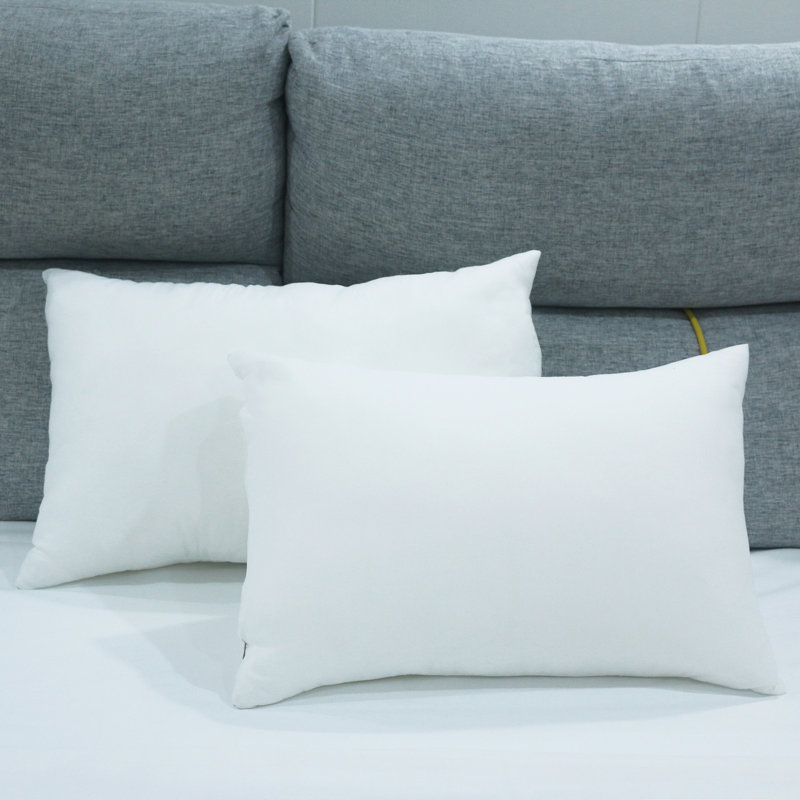 Bibana Rectangular Pillow Insert & Reviews | Wayfair