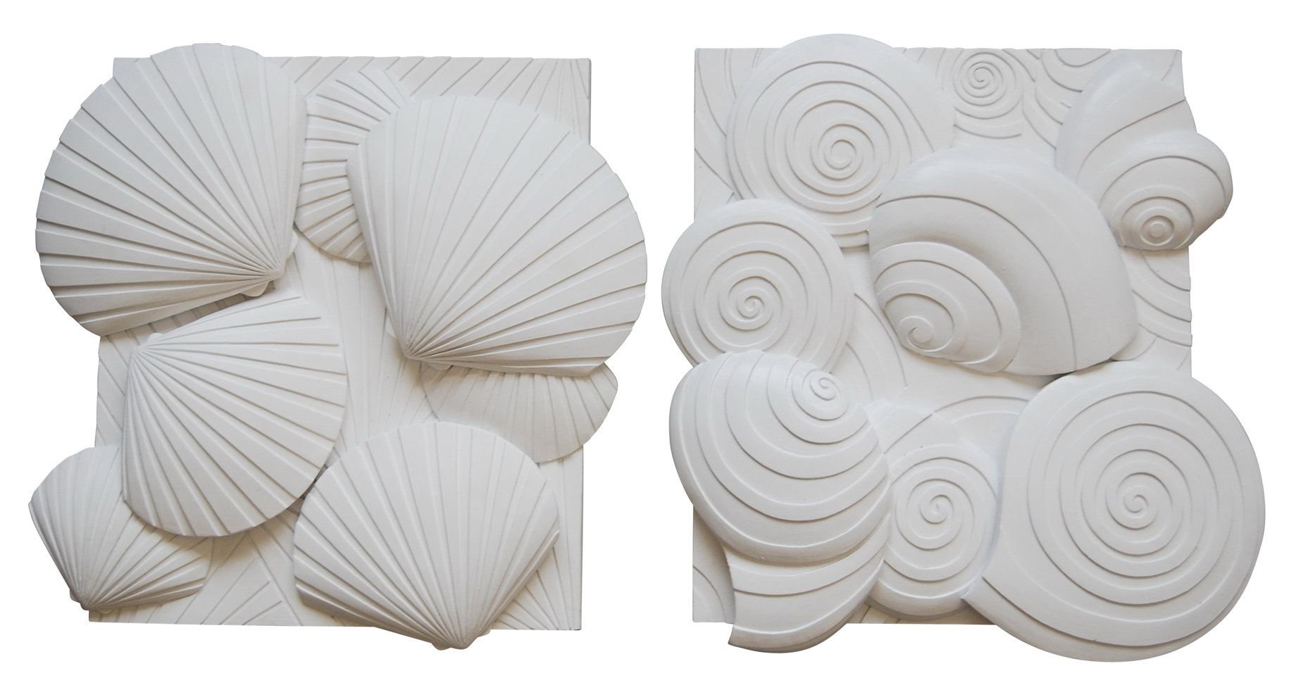 Highland Dunes Resin Sea Shell Wall Decor, White & Reviews | Wayfair