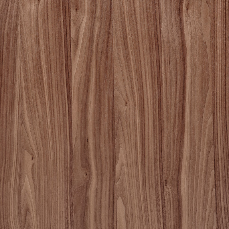 AllModern Carson Writing Desk & Reviews | AllModern