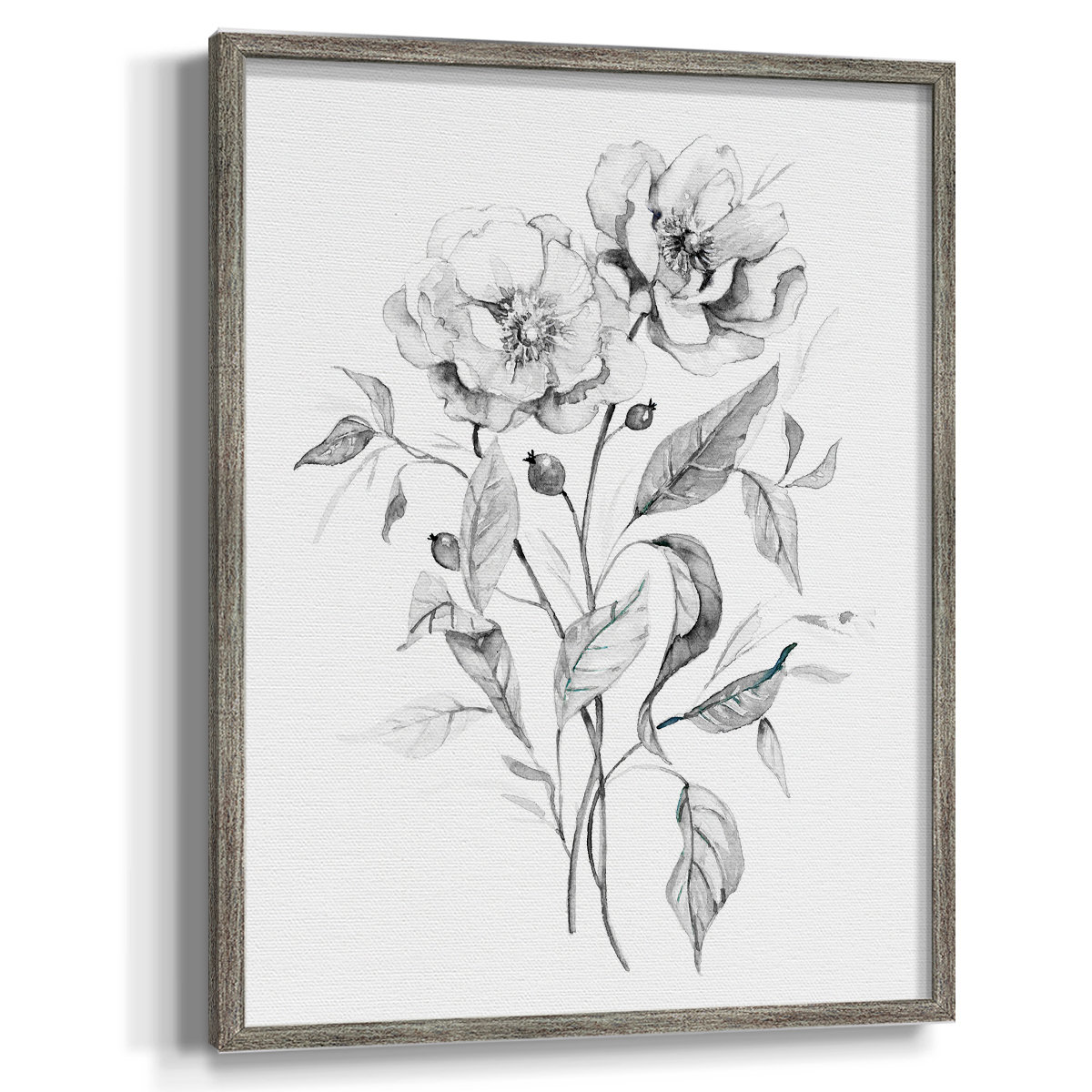 Lark Manor™ Wild Roses Sketch Framed Print - Solid Wood | Wayfair