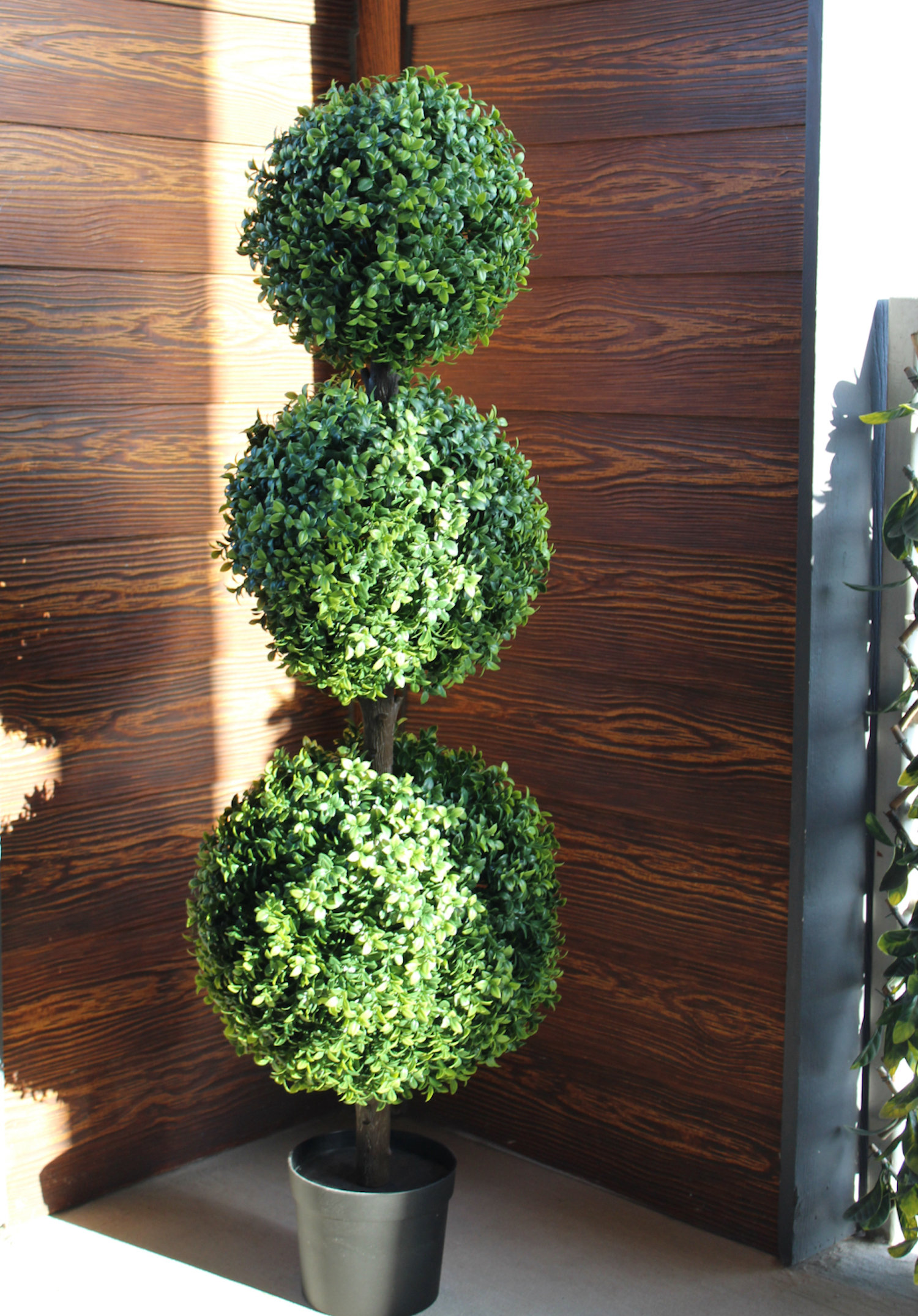 Primrue Sphere Tree Outdoor/indoor | Wayfair