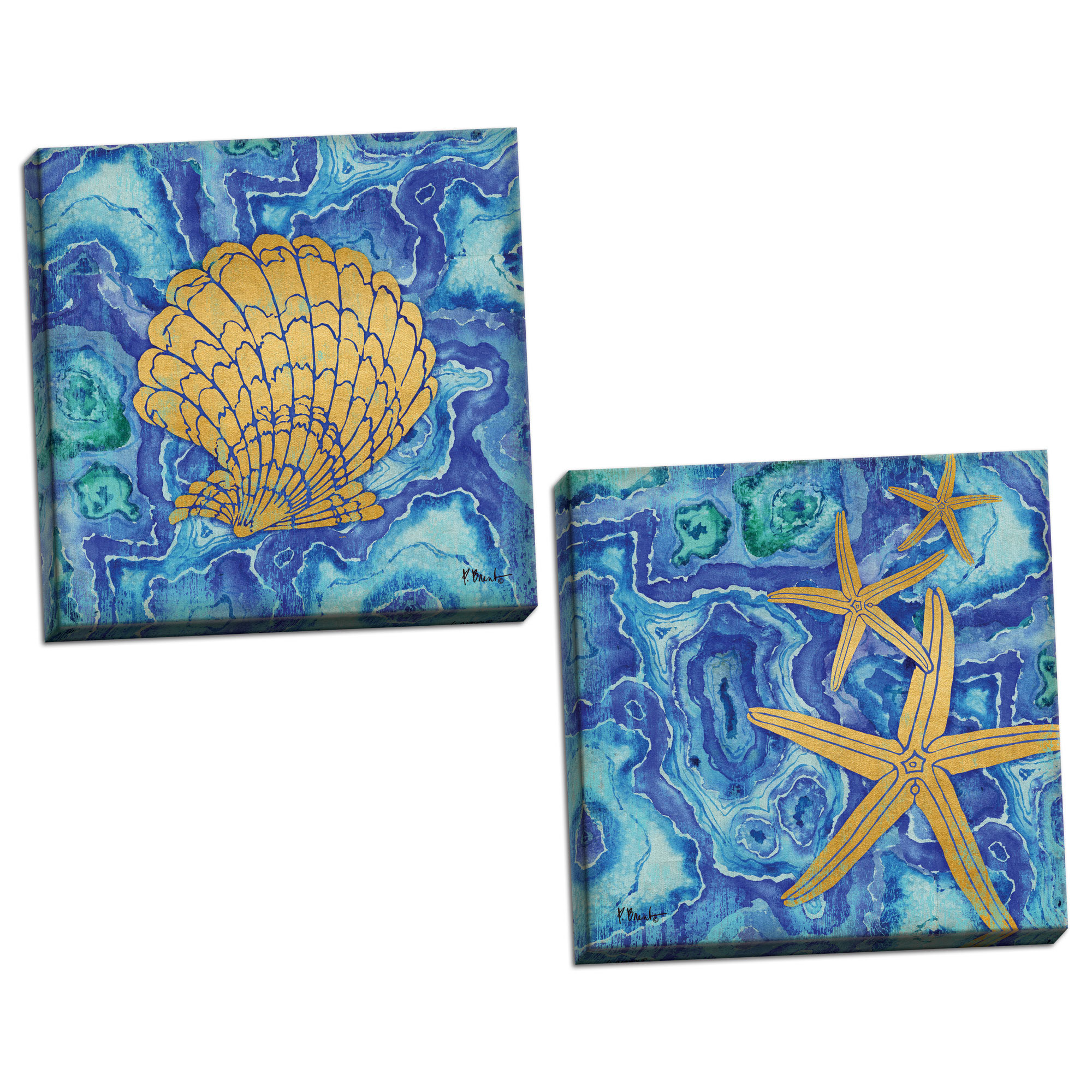 Highland Dunes Beach Décor Agate Shell & Starfish by Paul Brent - 2 ...