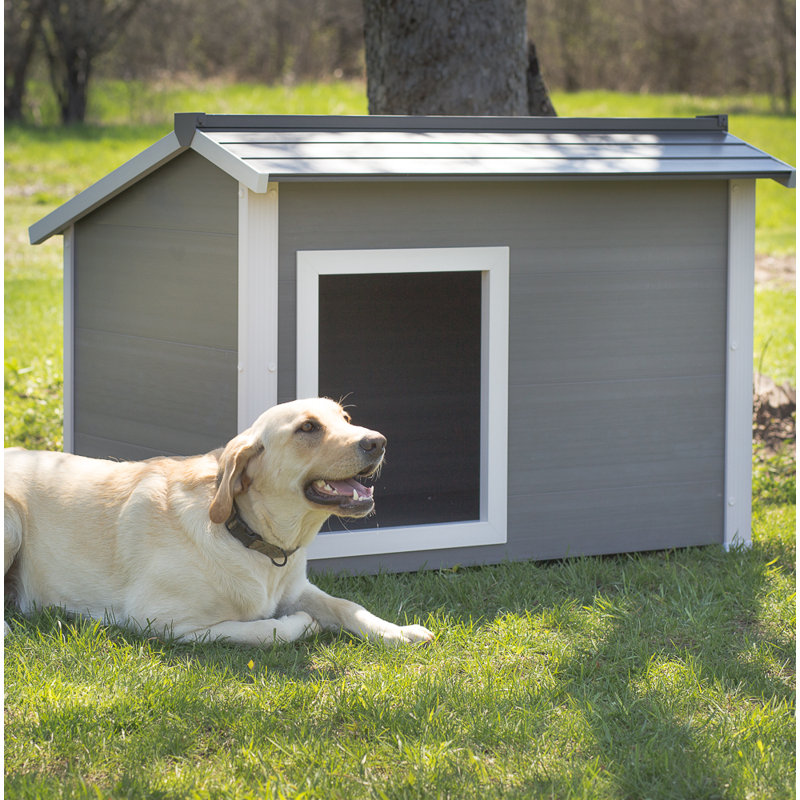 Tucker Murphy Pet™ Lamotte ECOFLEX® Grey Insulated Dog House & Reviews ...