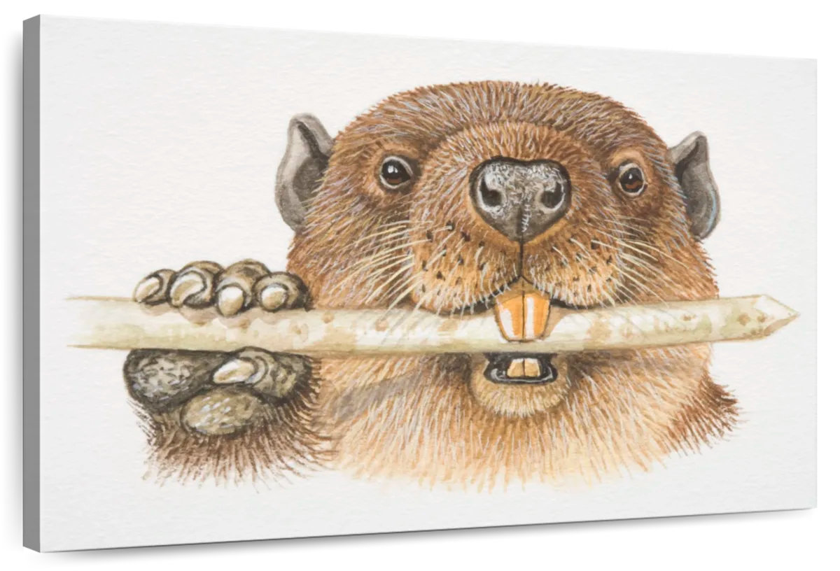 Ebern Designs Brampt Beaver Gnawing On A Branch | Wayfair
