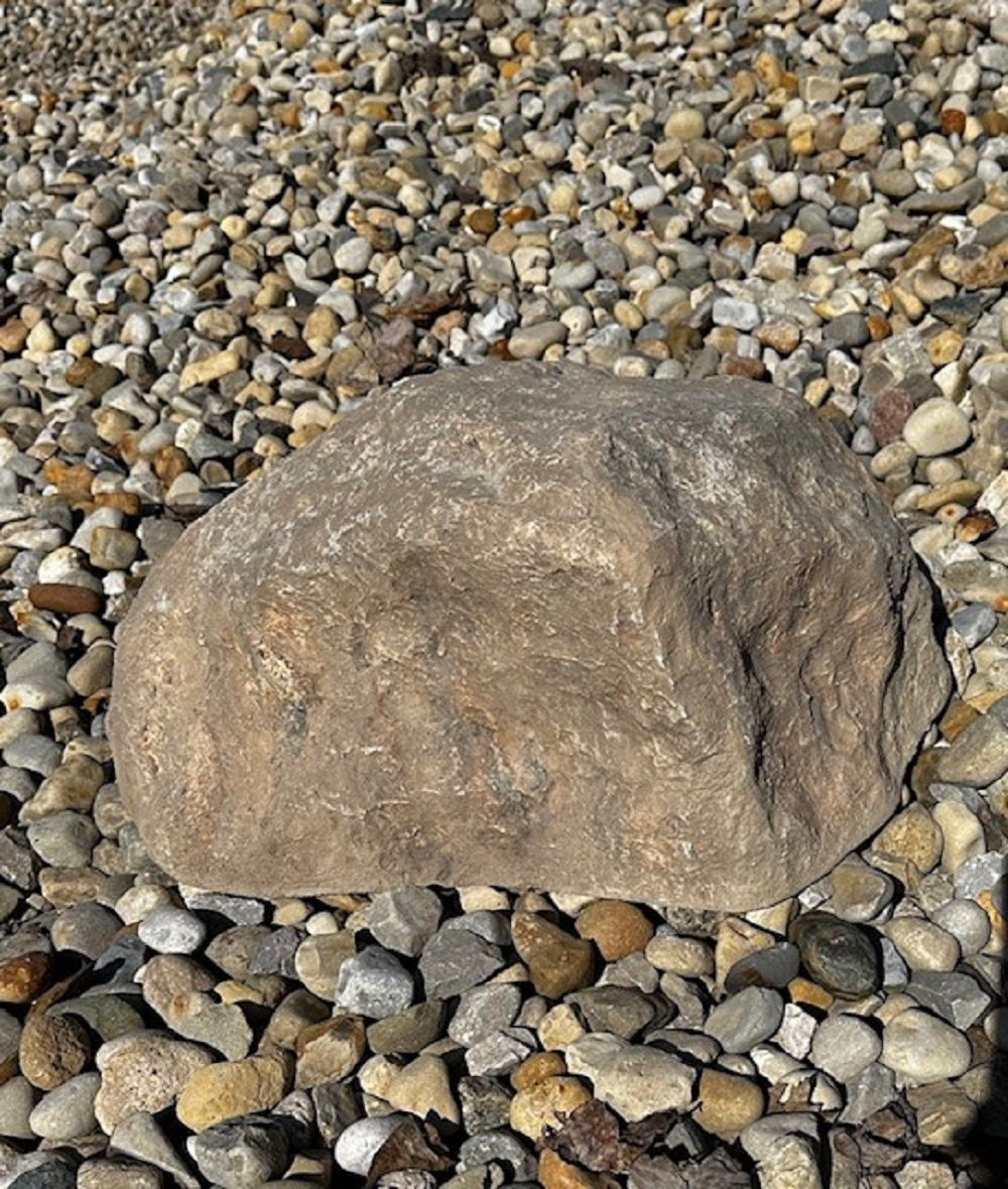 Millwood Pines Gustin Small Cover Rock Statue & Reviews | Wayfair