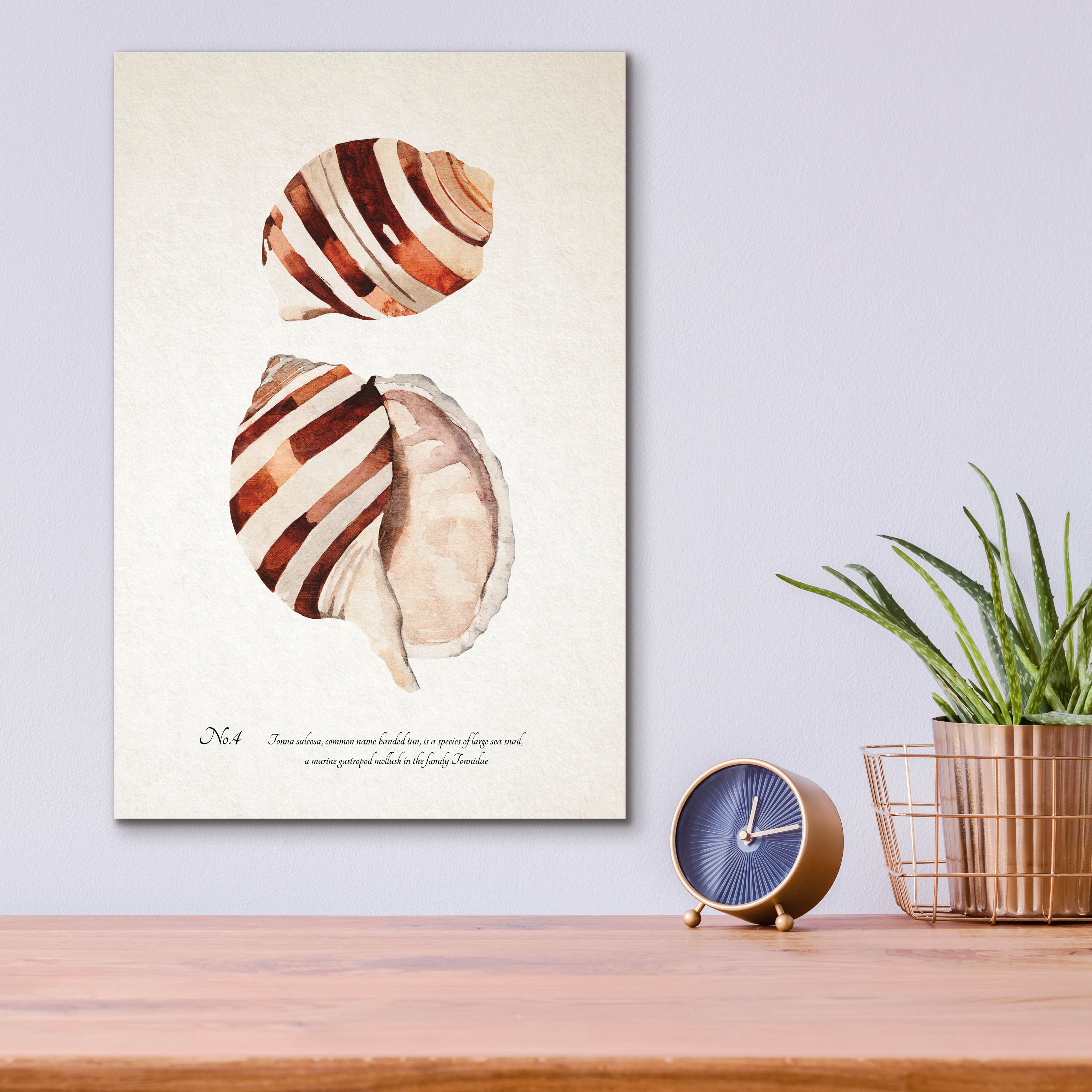 Highland Dunes 'Sienna Shell Collector 4' by Annie Warren Acrylic Glass ...
