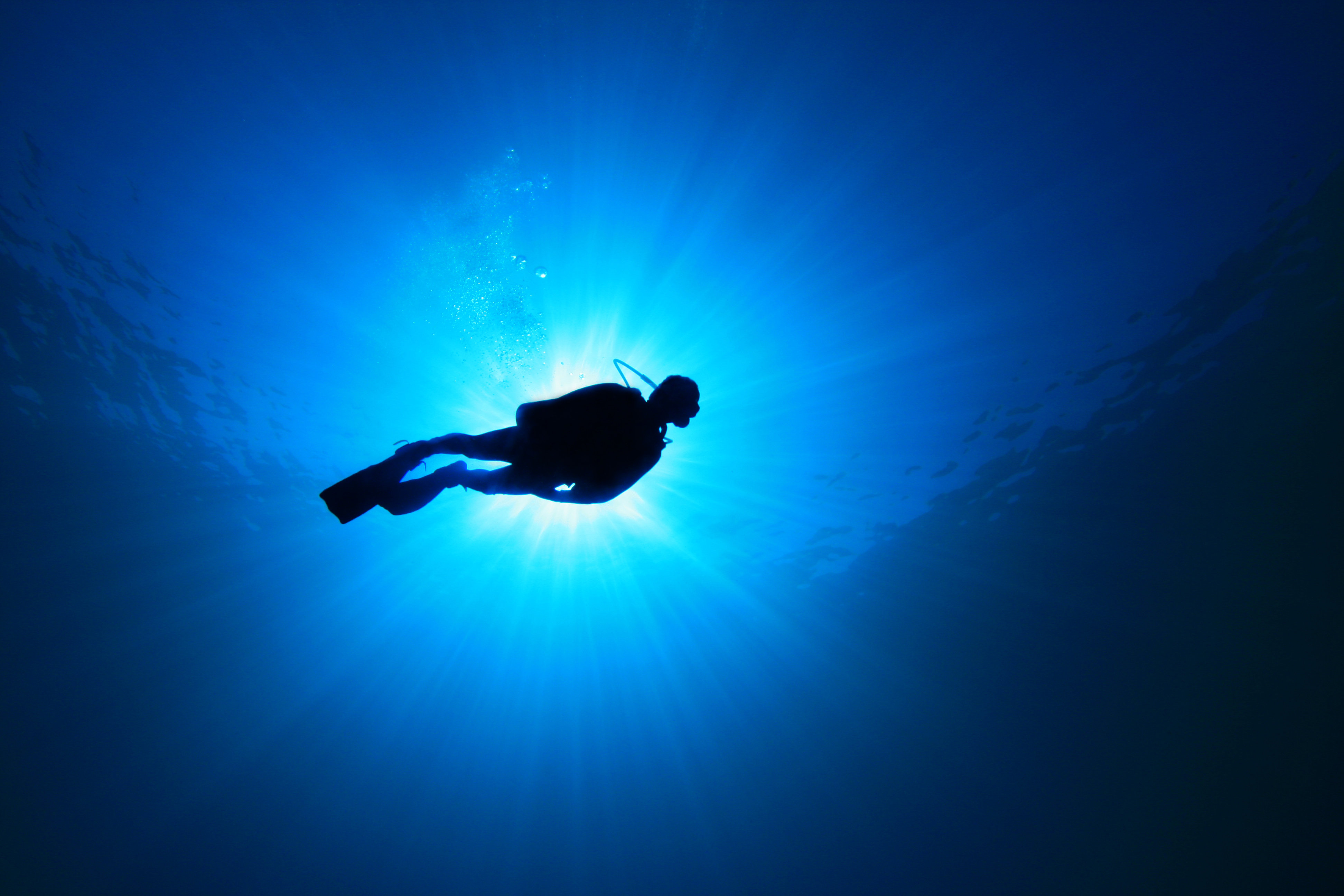 Highland Dunes Scuba Diver - Wayfair Canada