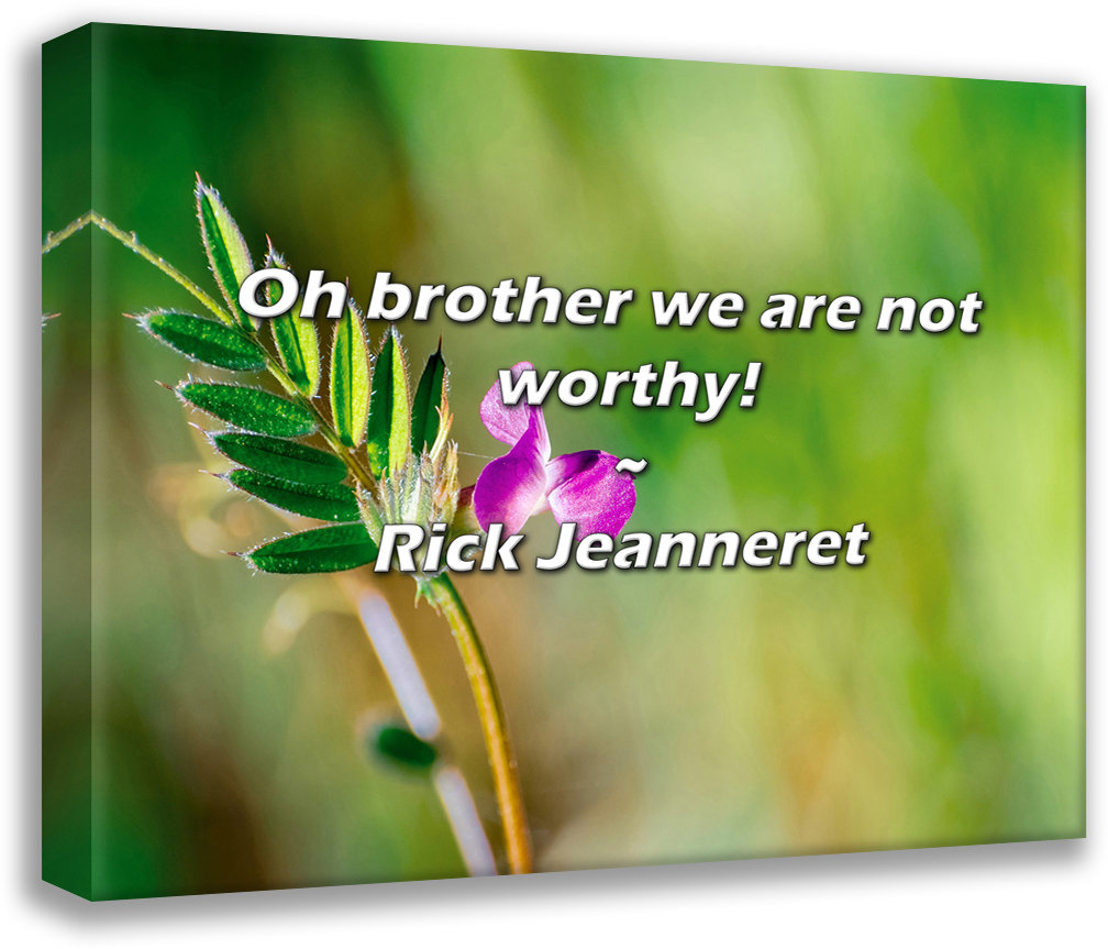 Trinx Rick Jeanneret Quote: Oh brother we are not worthy! | Wayfair