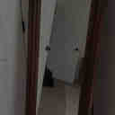 Joss & Main Axinia Full Length Mirror & Reviews - Wayfair Canada