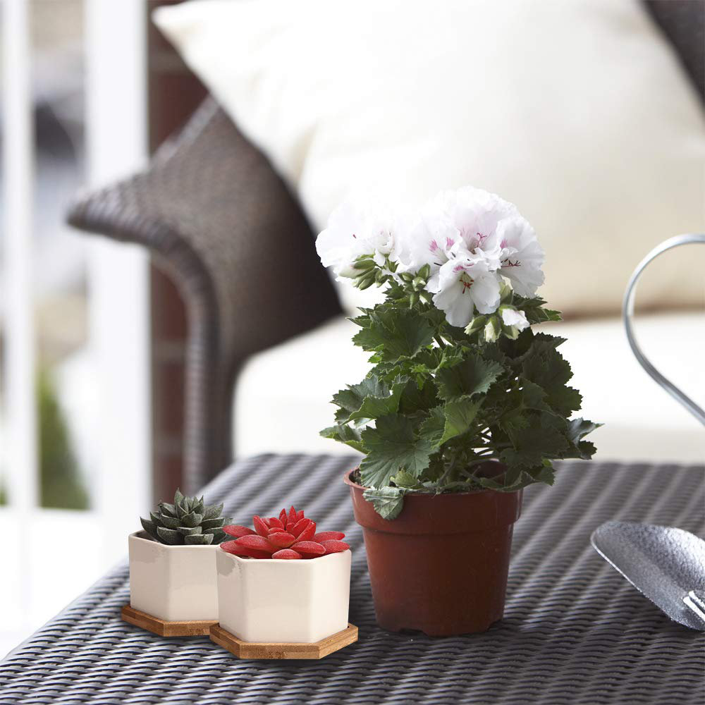 Ebern Designs Set Of 6 Classic White Ceramic Hexagonal Plant Pots With ...