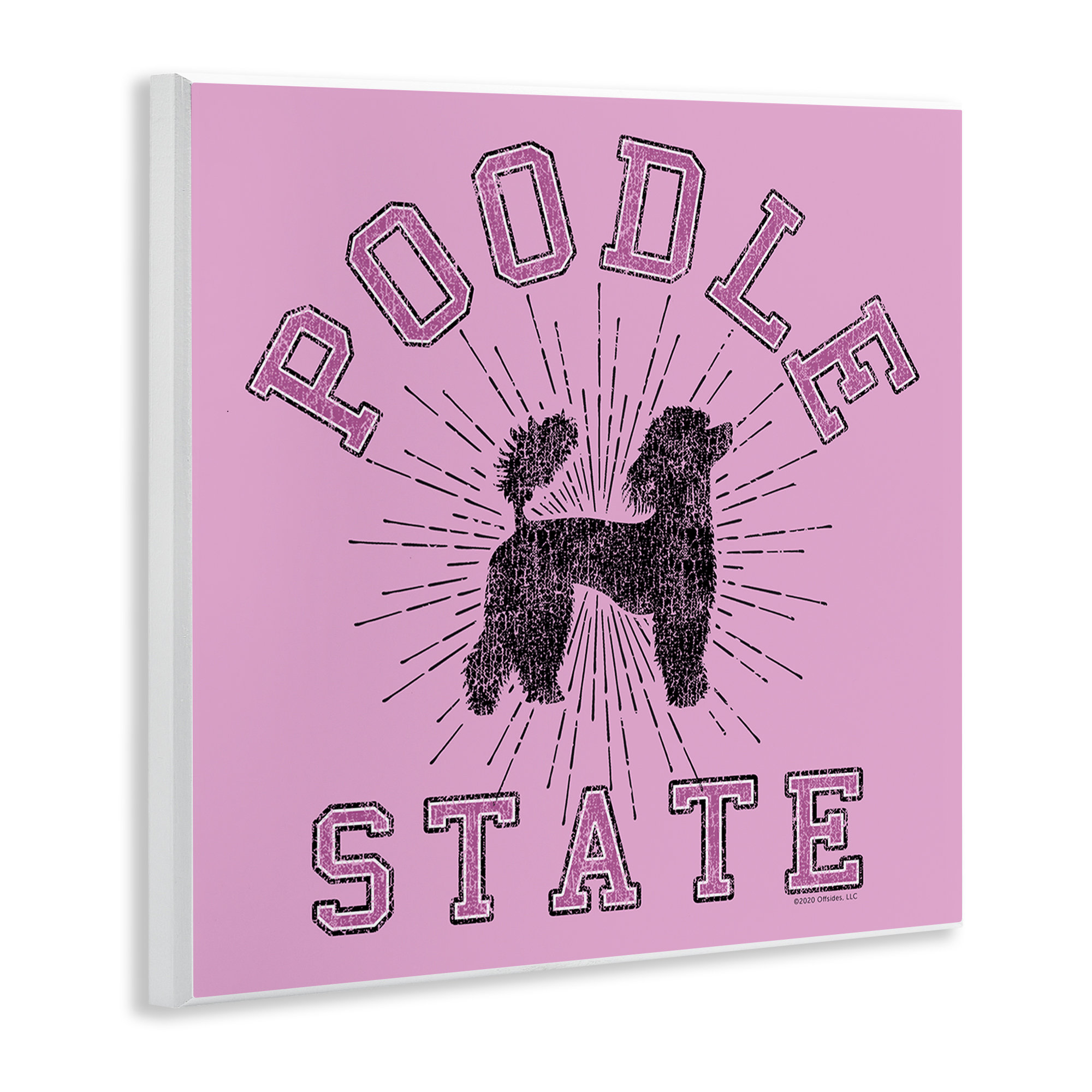 Dakota Fields Varsity Style Poodle State Wall Plaque Art by Spirit ...