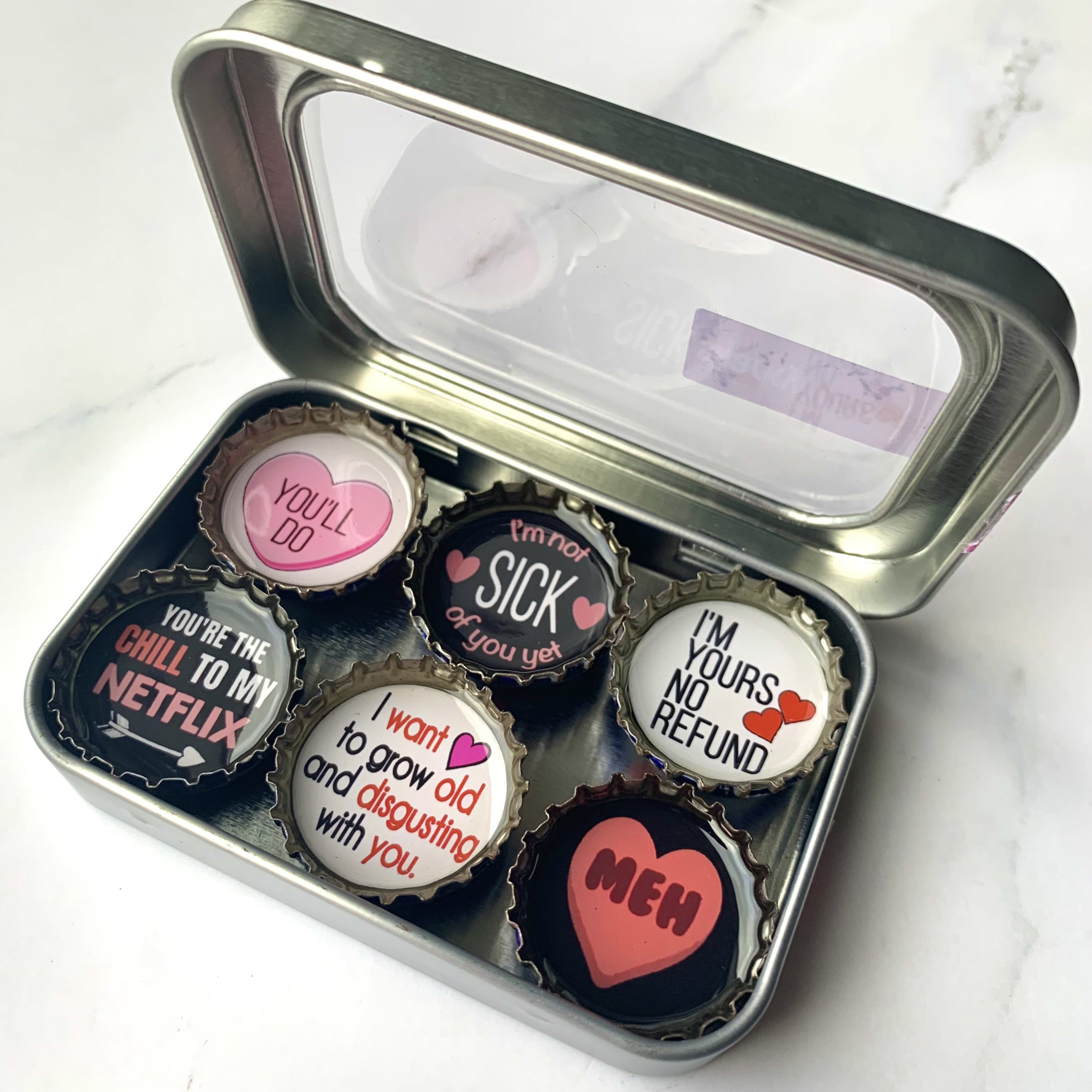 Kate's Magnets 6 Piece Snarky Valentine Magnet Set - Wayfair Canada
