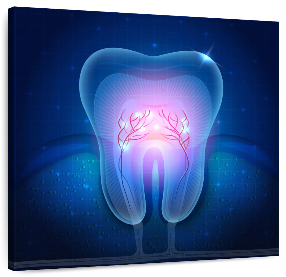 Ebern Designs Alcaraz Transparent Tooth - Wayfair Canada