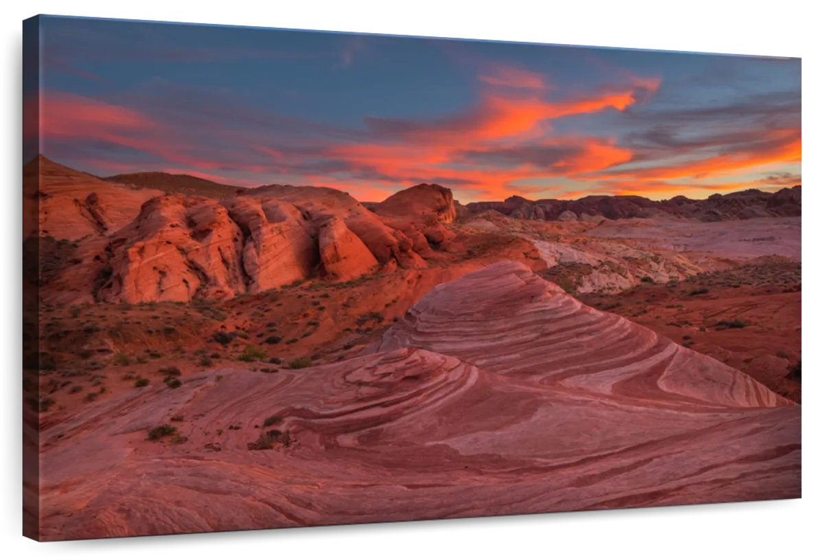 Elephant Stock Valley Of Fire State Park - Wayfair Canada