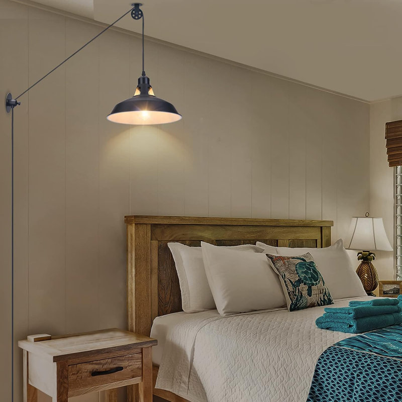 Breakwater Bay Plug in Pendant Light, Hanging Lamp with Black Barn ...