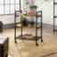 Williston Forge Ulen Multi-Purpose Bar Cart & Reviews - Wayfair Canada
