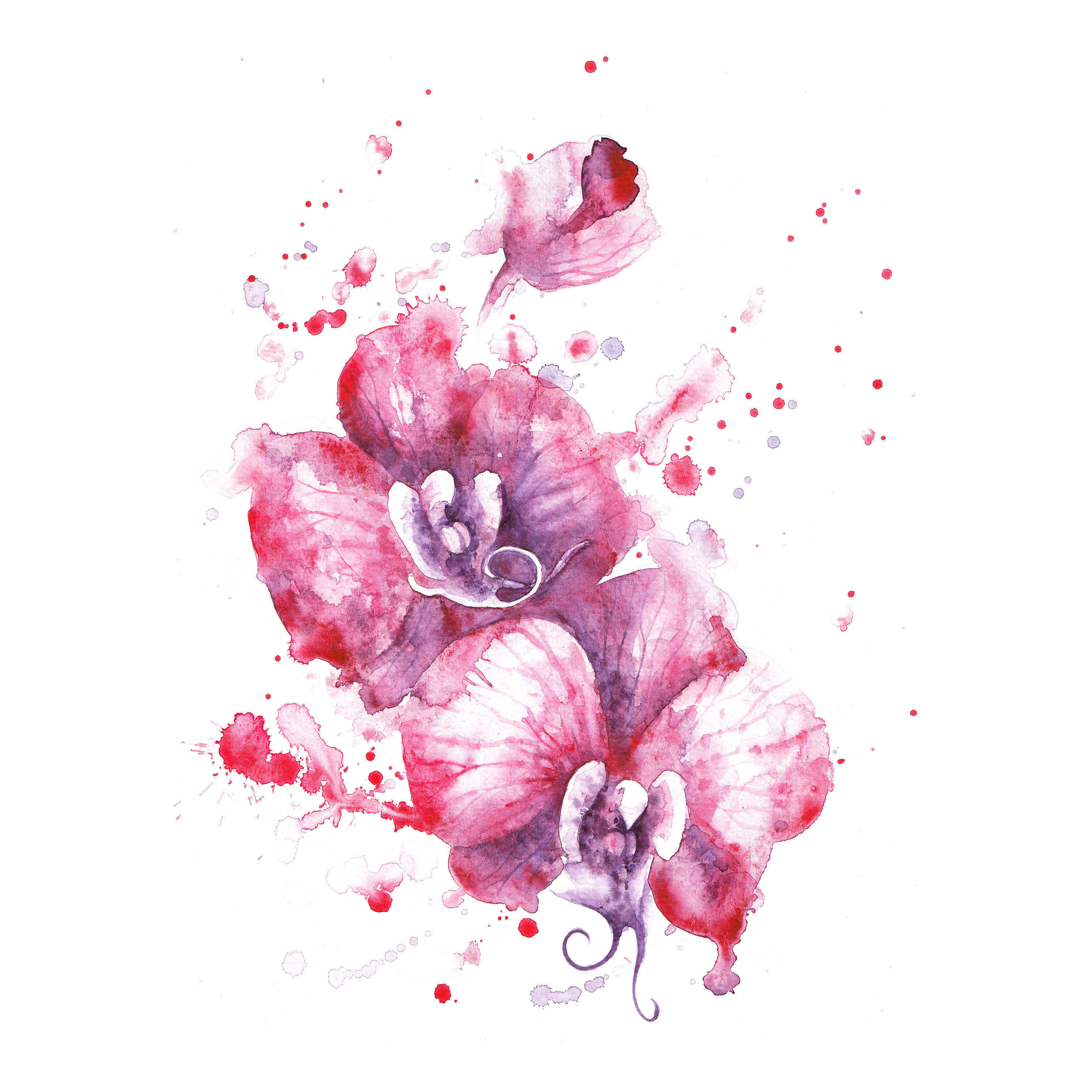 Winston Porter Kermith Pink Orchid Branch by Oksana Pushenko | Wayfair