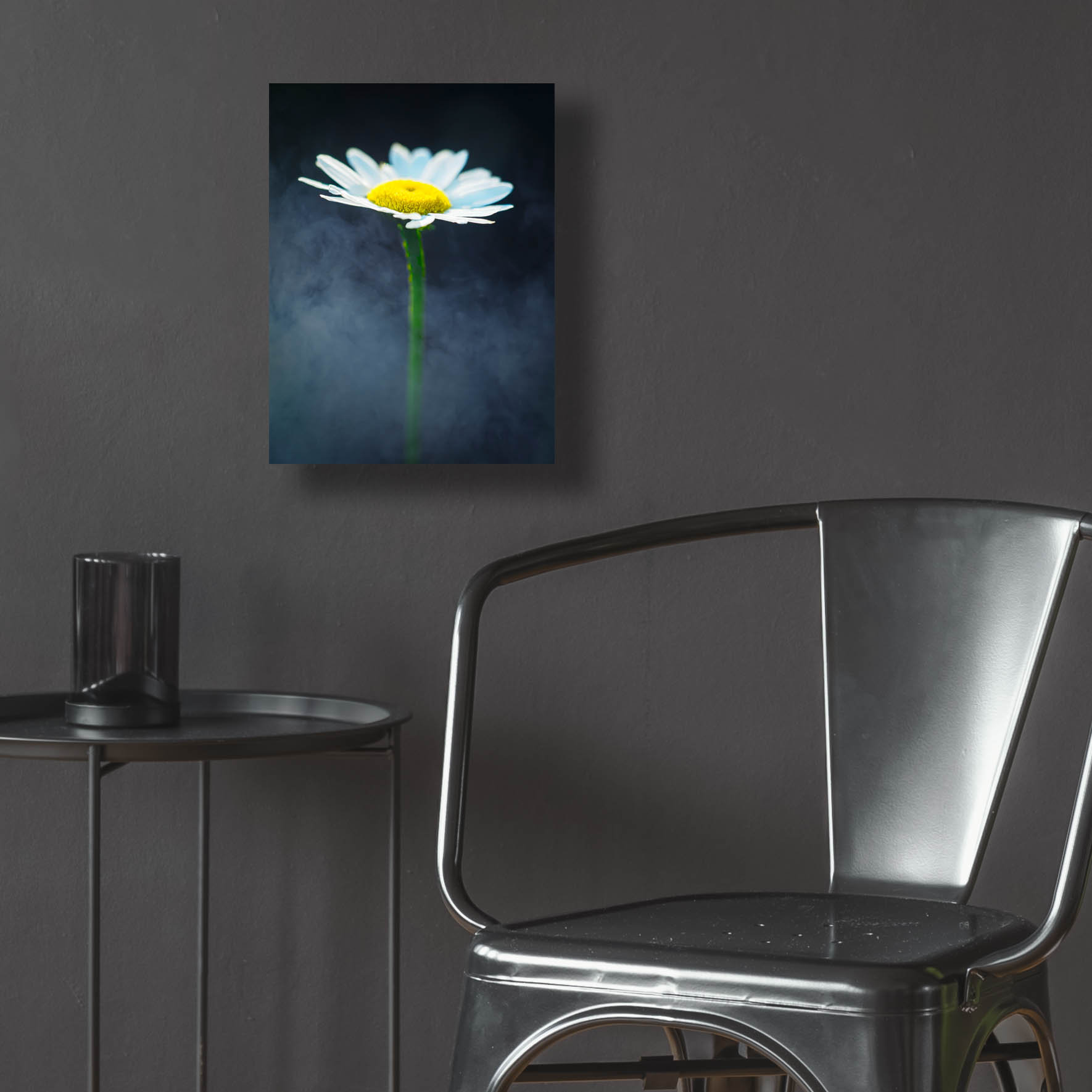 Latitude Run® 'All By Myself' by Pamela Plummer, Acrylic Glass Wall Art ...