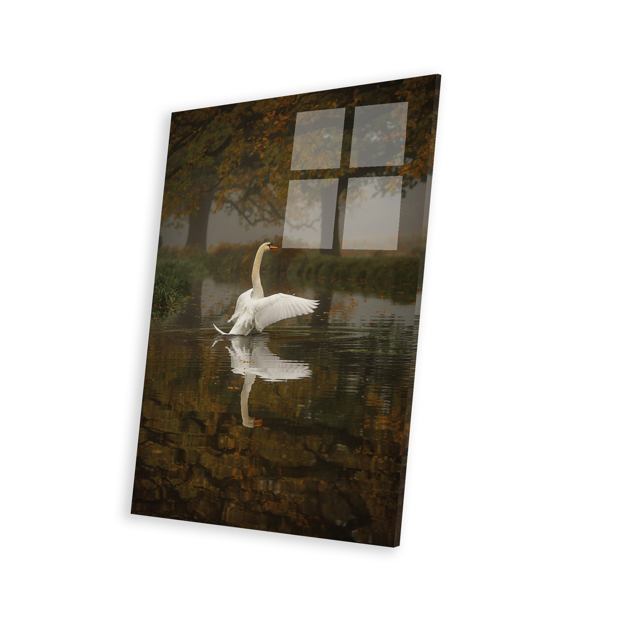 Winston Porter Solo Swan On Plastic/Acrylic by Max Ellis Painting | Wayfair