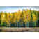 Alpen Home Painted Green Treeline - Wrapped Canvas Art Prints | Wayfair ...